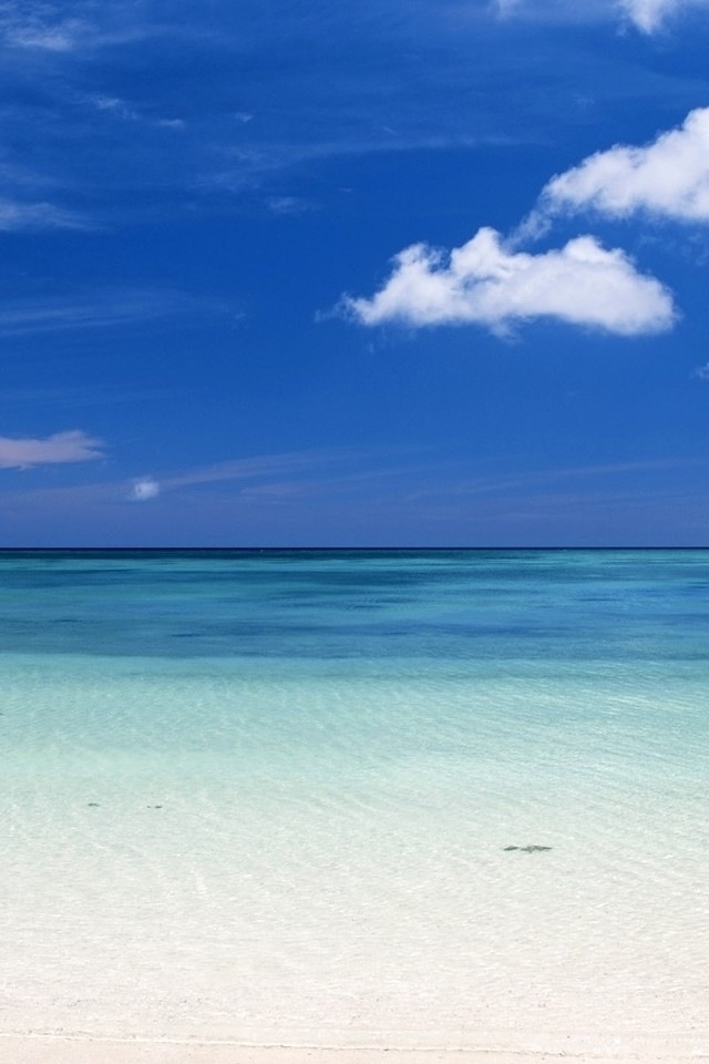 みぃぽ(*'ᴗ'*)(miipo)さん | Peer Ring - なかまと話そう！女性特有のがん