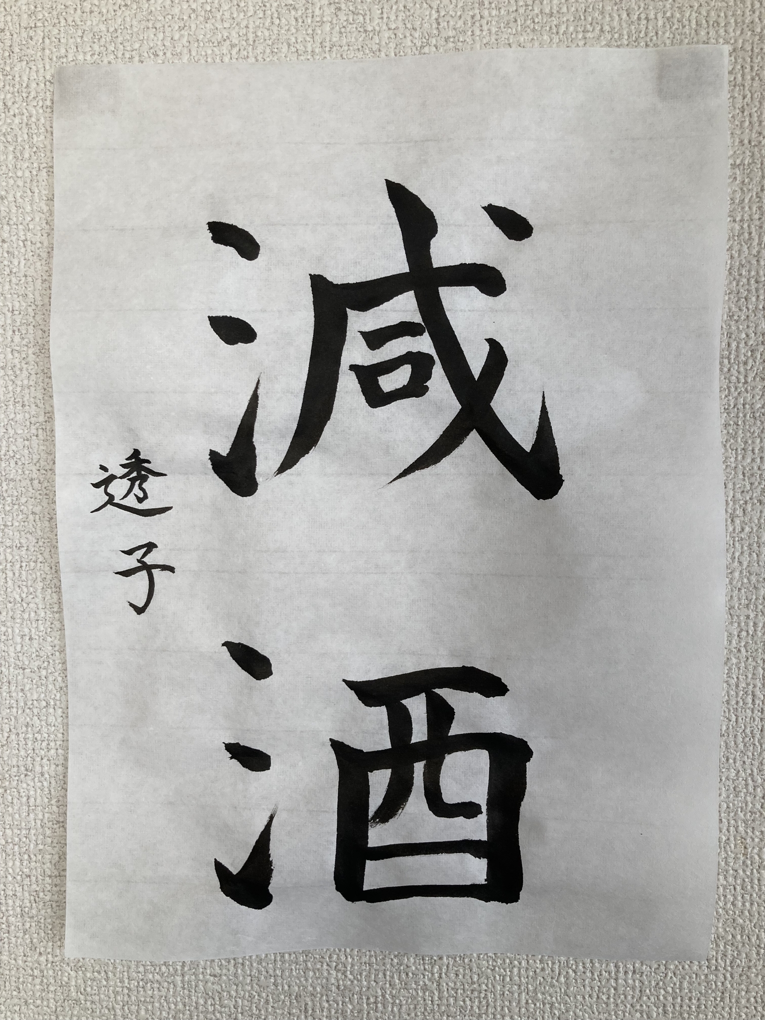 TOKOさんのダイアリー：#書き初め #とめはね #今年の目標 | Peer Ring - なかまと話そう！女性特有のがん