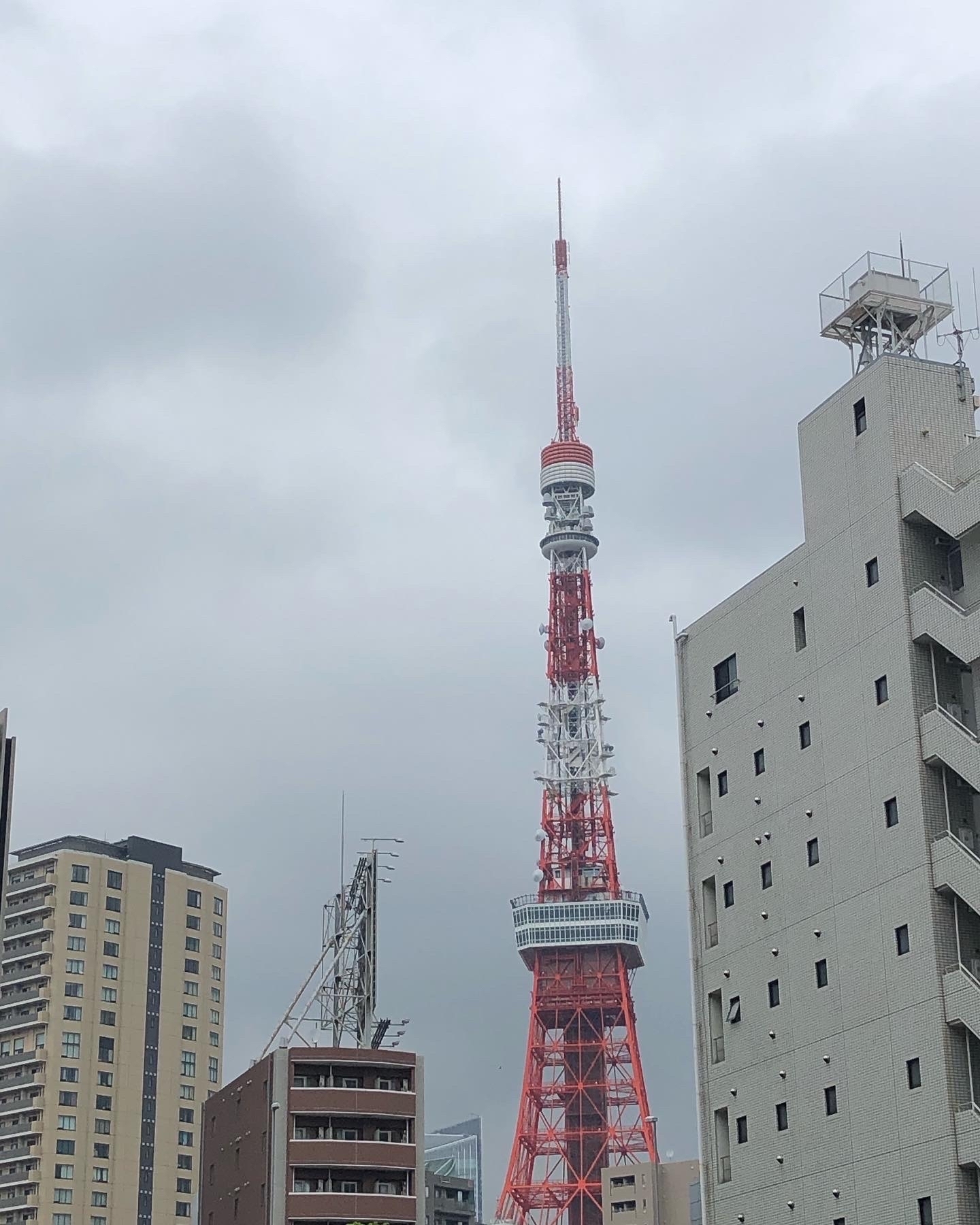 pekoさんのダイアリー：#備忘録 #末梢神経障害 #味覚障害 #牛車腎気丸 | Peer Ring - なかまと話そう！女性特有のがん