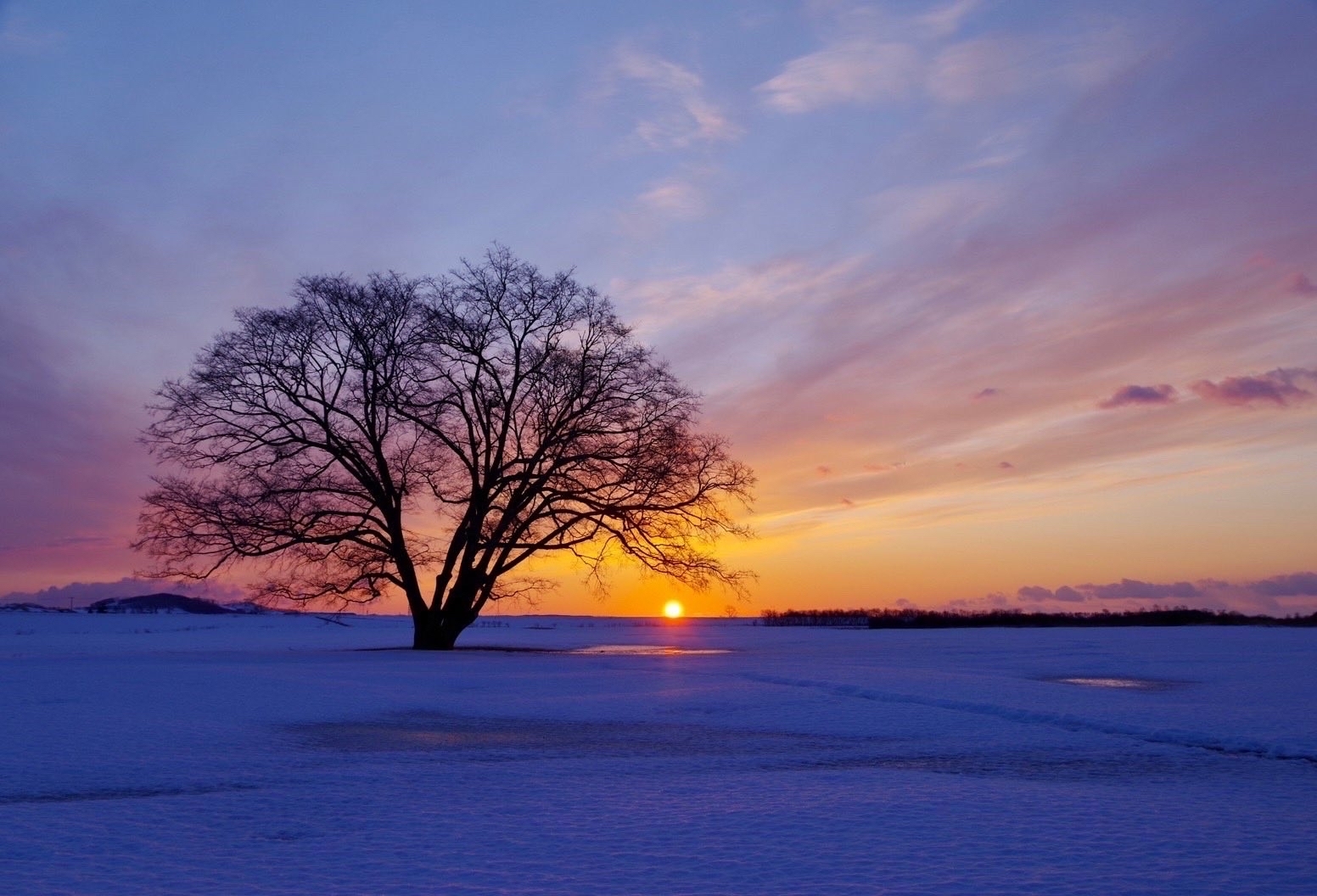 akko(mygon_akko)さん | Peer Ring - なかまと話そう！女性特有のがん