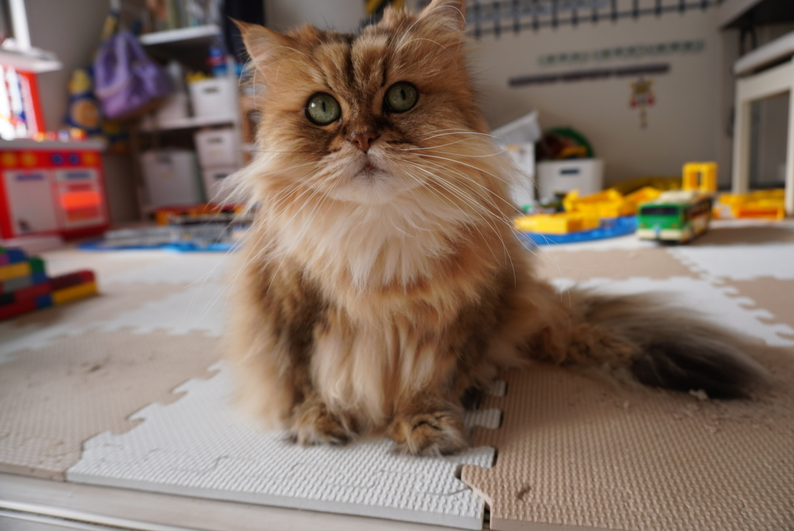 くままま(mememe)さん | Peer Ring - なかまと話そう！女性特有のがん