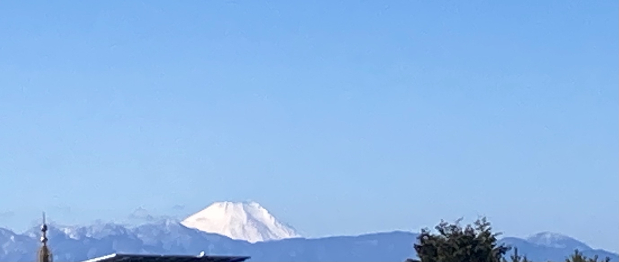 achan55さんのダイアリー：#救急搬送 #最終章 #原因 #謎は解けた | Peer Ring - なかまと話そう！女性特有のがん