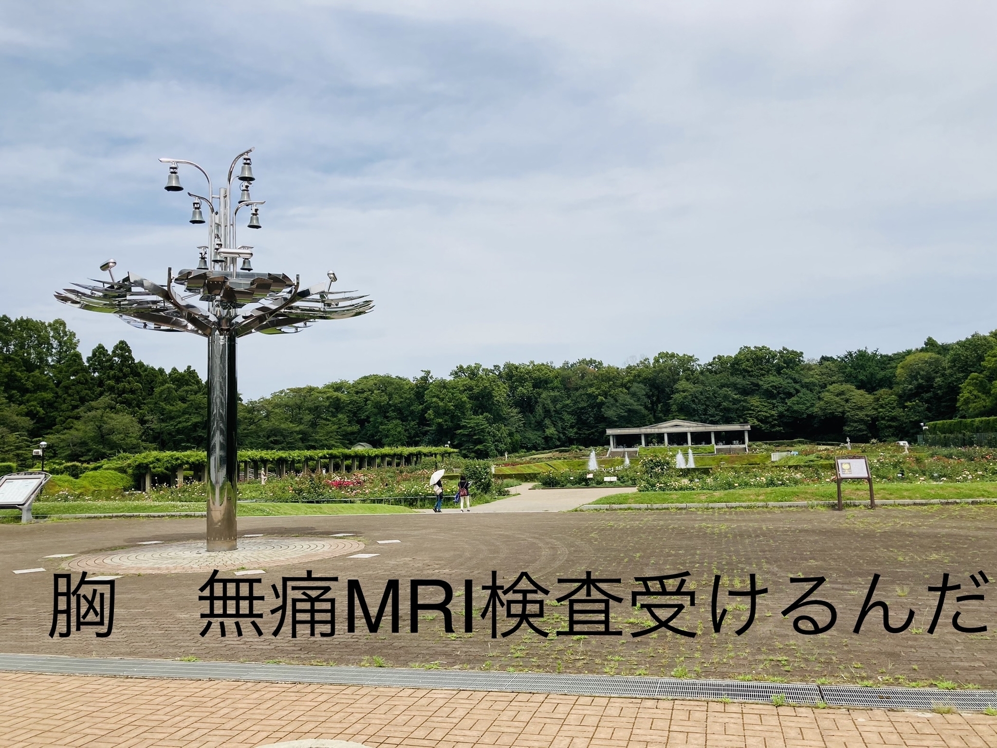 achan55さんのダイアリー：#乳がん #検査 #無痛MRI #マンモ | Peer Ring - なかまと話そう！女性特有のがん