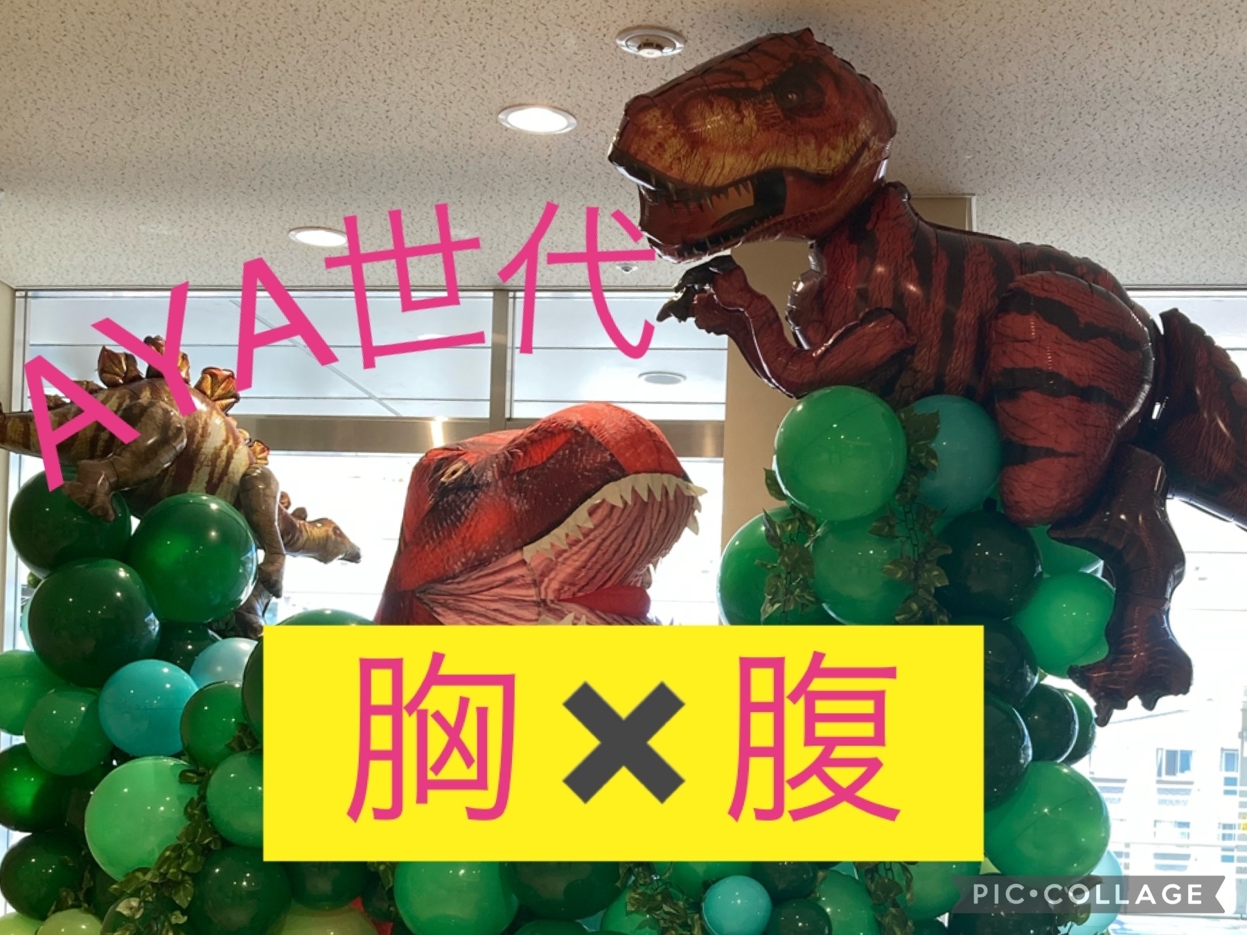 achan55さんのダイアリー：#ピアシスさん #胸 #腹 #仲間 | Peer Ring - なかまと話そう！女性特有のがん