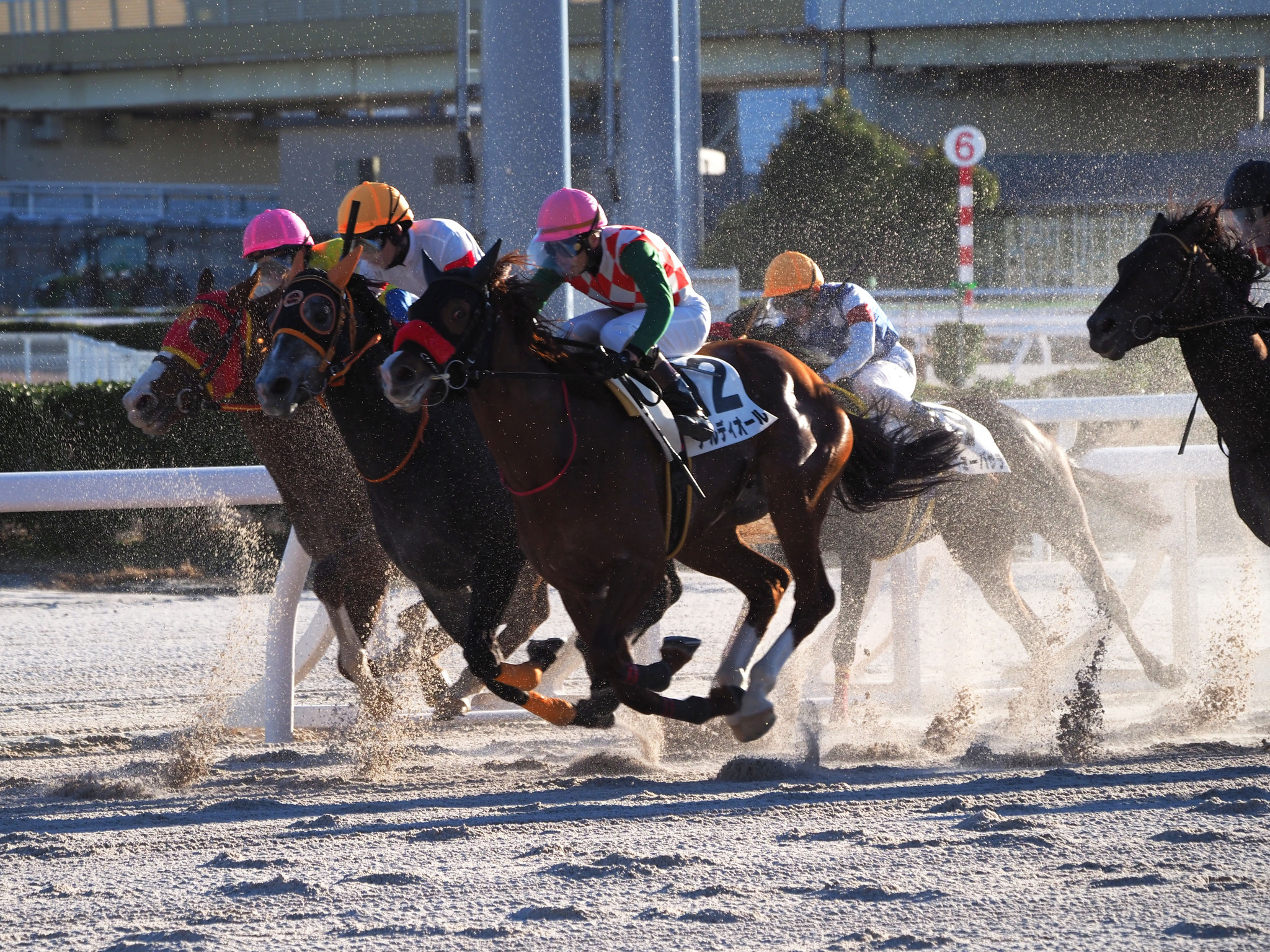 yume77さんのダイアリー：#作品展＃写真 | Peer Ring - なかまと話そう！女性特有のがん