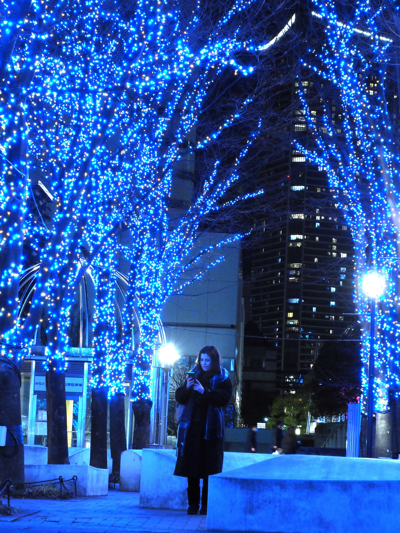 yume77さんのダイアリー：#作品展＃写真 | Peer Ring - なかまと話そう！女性特有のがん