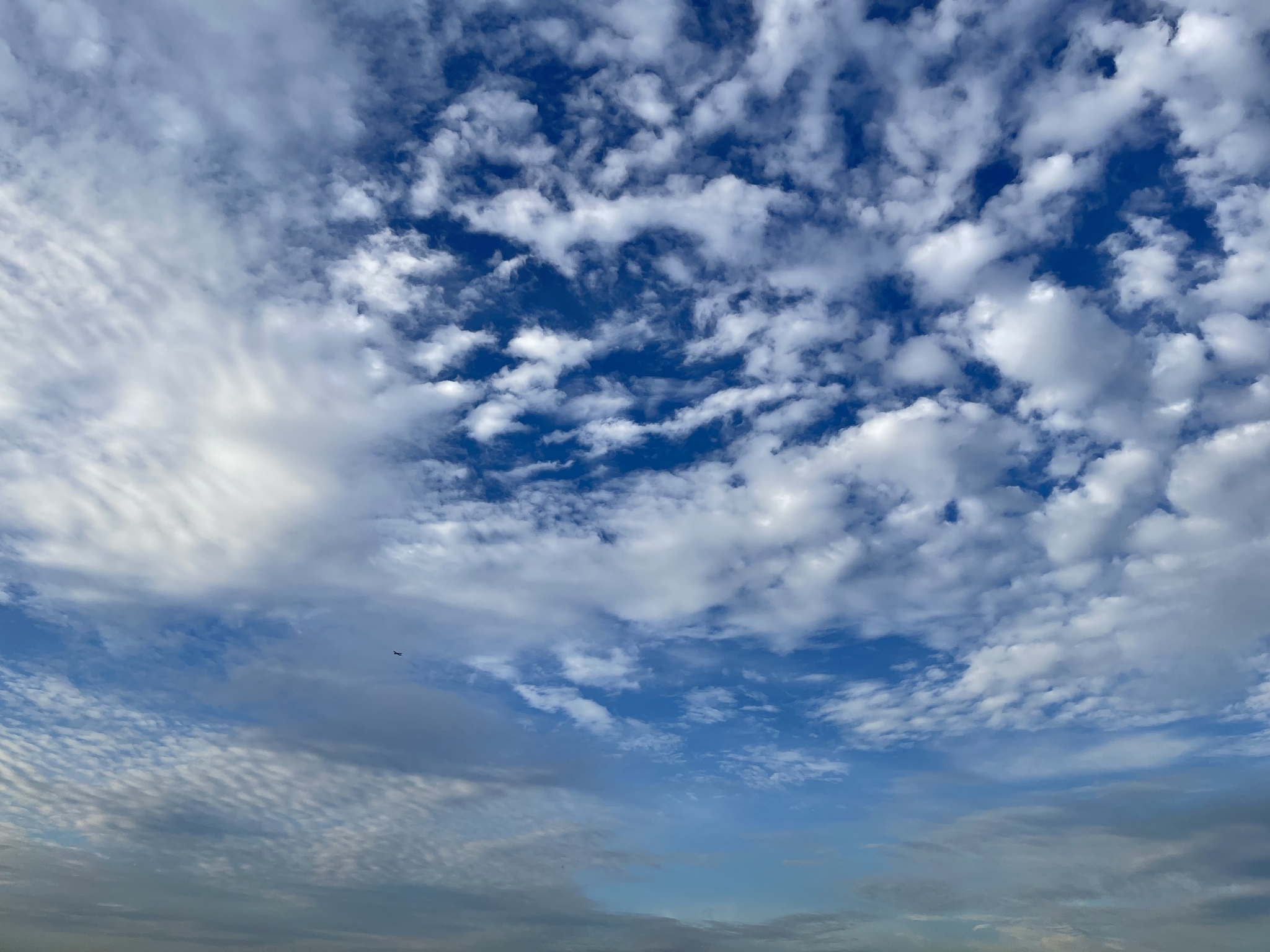なっちゃん(natuko)さん | Peer Ring - なかまと話そう！女性特有のがん