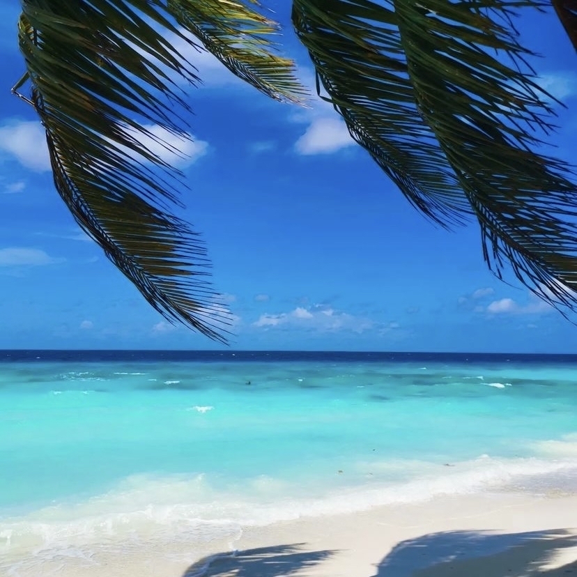 ポメラ(emiring)さん | Peer Ring - なかまと話そう！女性特有のがん