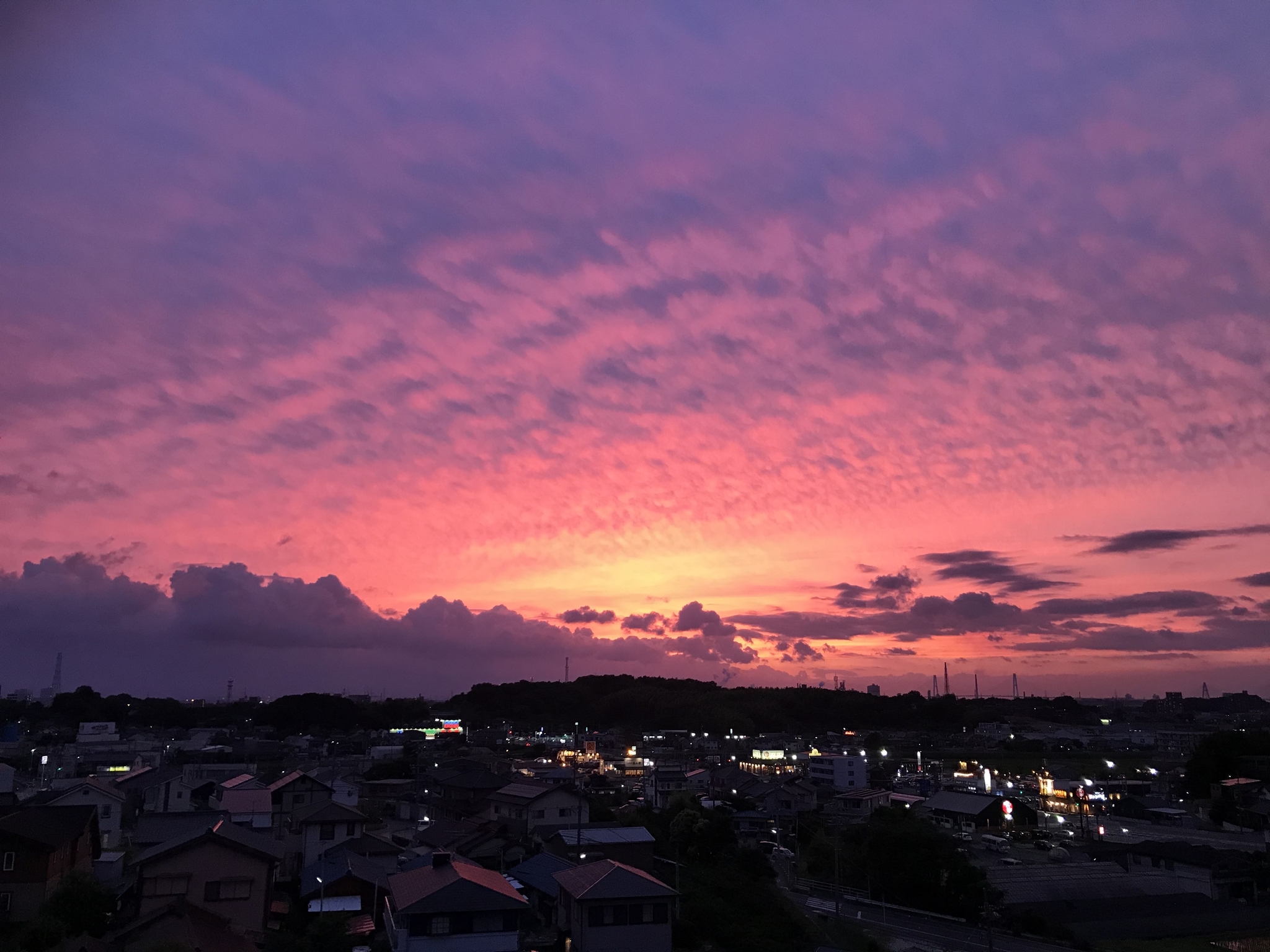 いくちゃん(kossy)さん | Peer Ring - なかまと話そう！女性特有のがん