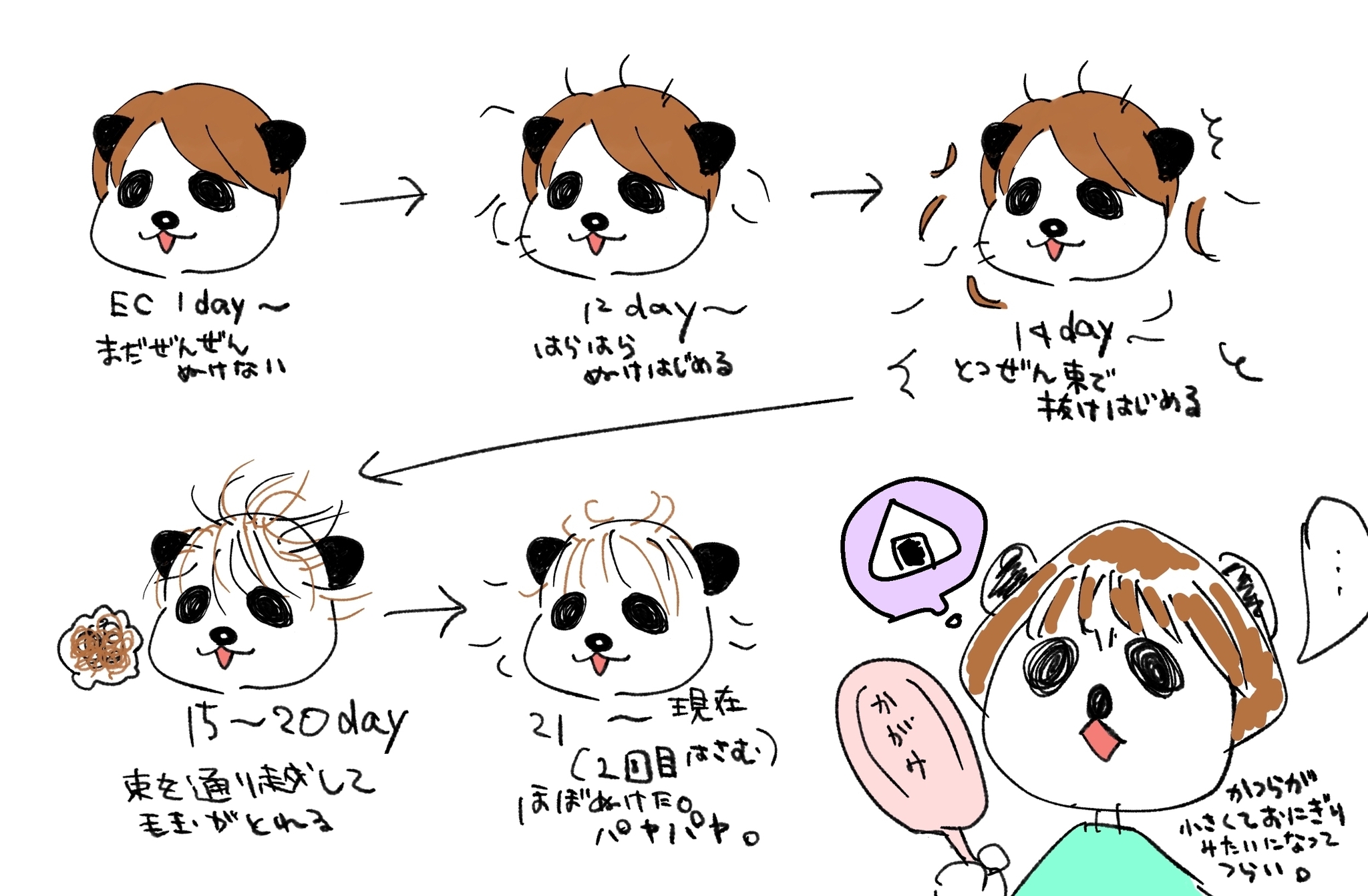 じゃじゃさんのダイアリー：眠れなくて抜け毛の記録を書きました。 | Peer Ring - なかまと話そう！女性特有のがん