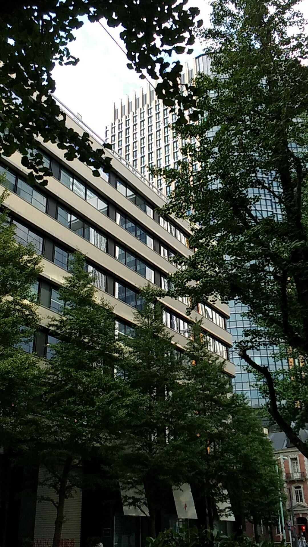 さっちさんのダイアリー：＃バイオリン🎻＃ライブ 世間一般は、終戦記念日当日最中。 | Peer Ring - なかまと話そう！女性特有のがん