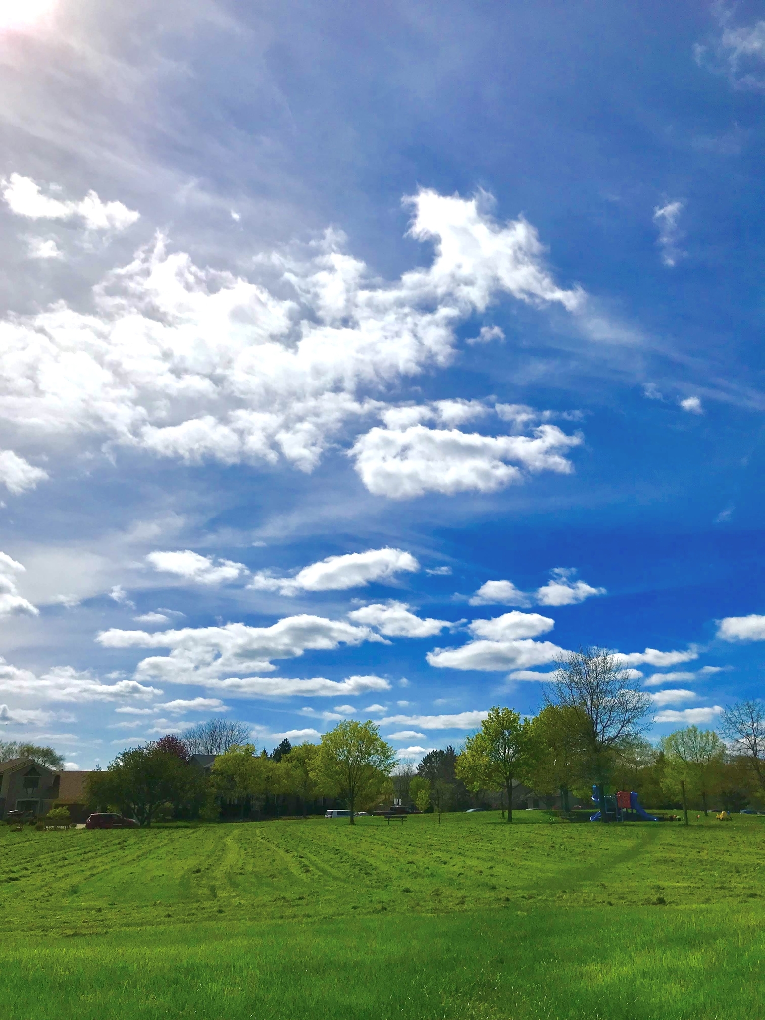 MI(Miichan)さん | Peer Ring - なかまと話そう！女性特有のがん