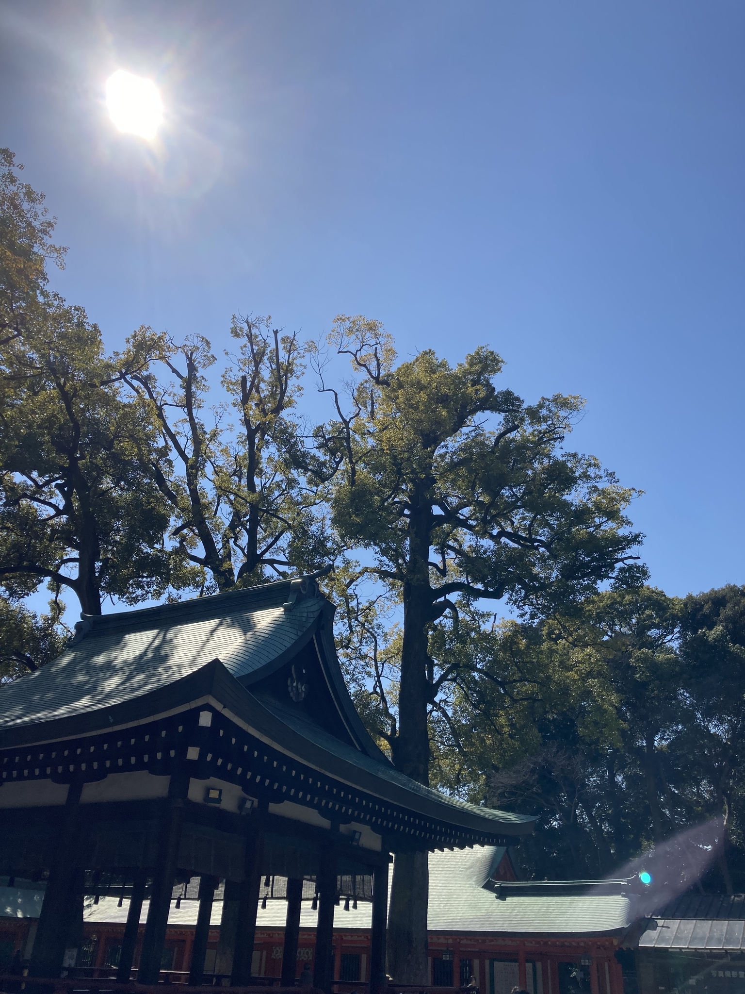 きりん🦒(kirin55)さん | Peer Ring - なかまと話そう！女性特有のがん