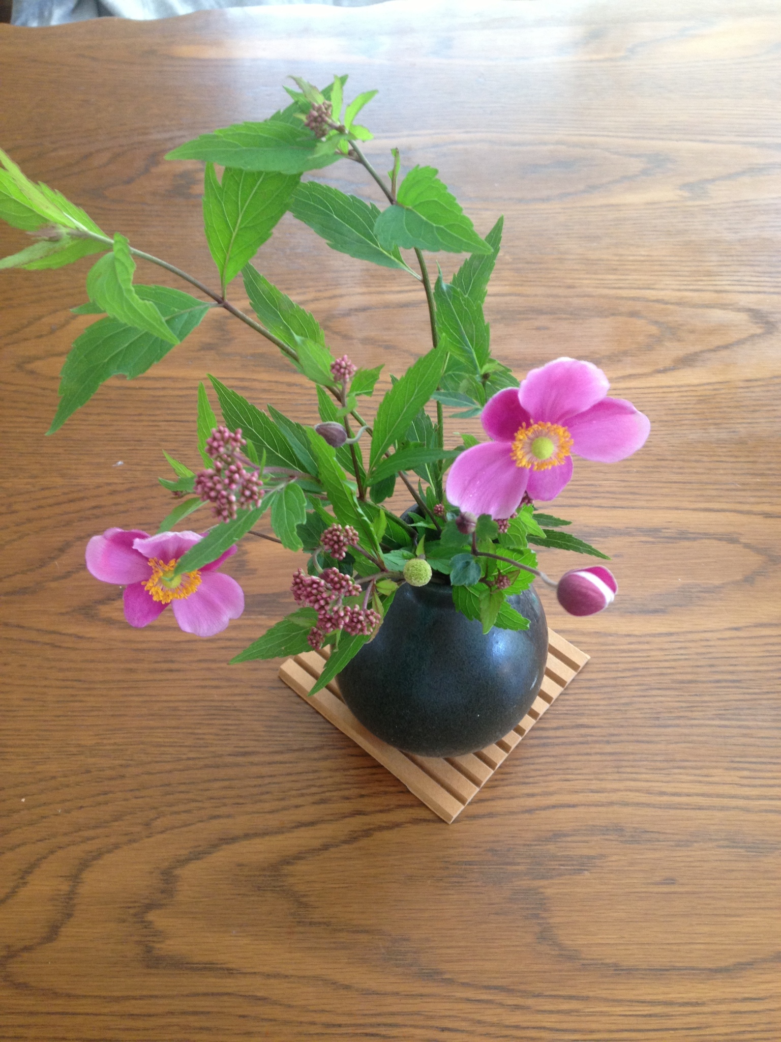 akiさんのダイアリー：初めてのダイアリー投稿です。 | Peer Ring - なかまと話そう！女性特有のがん