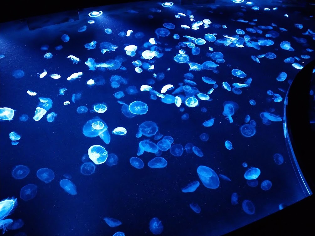 Humanome.Labさんのダイアリー：こんにちは。今週はますます涼しくなって | Peer Ring - なかまと話そう！女性特有のがん