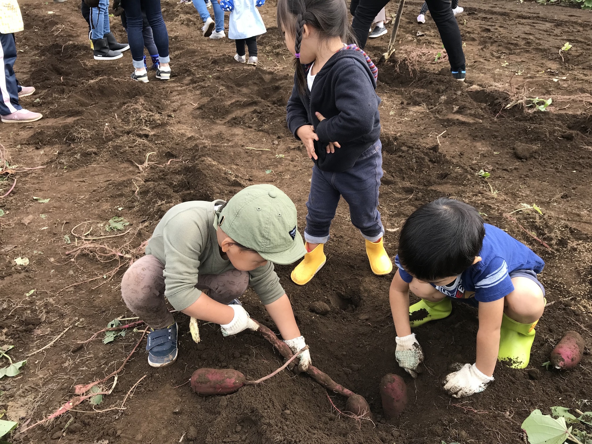 Humanome.Labさんのダイアリー：こんにちは。10月も半ばになり、運動会 | Peer Ring - なかまと話そう！女性特有のがん