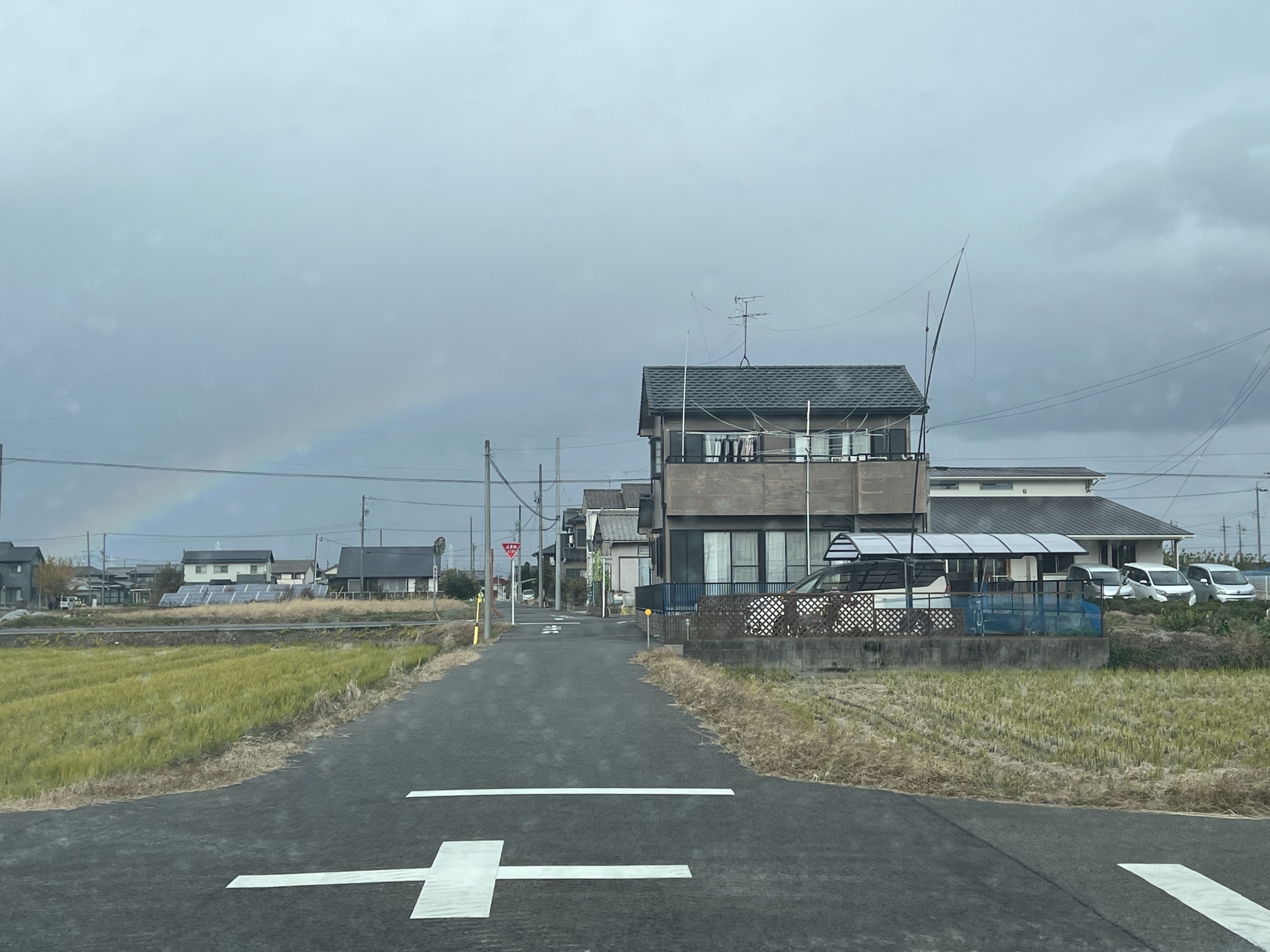 ダーハラさんのダイアリー：エンハーツ6回目‼️髪の毛は落武者‼️ | Peer Ring - なかまと話そう！女性特有のがん