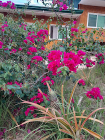 yocchi(yocchi)さん | Peer Ring - なかまと話そう！女性特有のがん