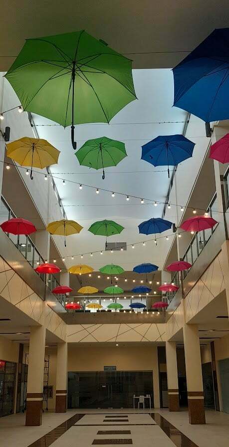 yocchiさんのダイアリー：#がん以外 雨期に入ったフィリピン・マニラ。近所の | Peer Ring - なかまと話そう！女性特有のがん