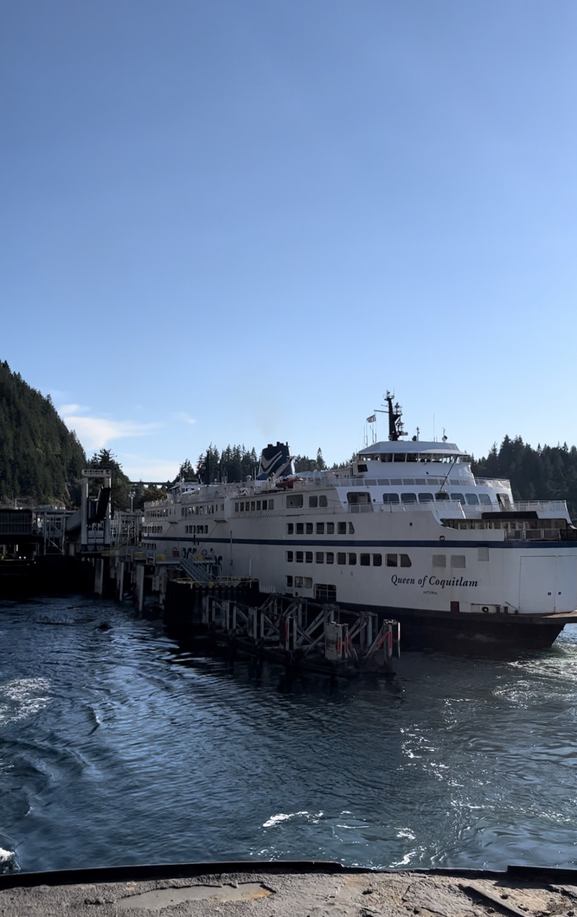 mokoさんのダイアリー：明日から放射線治療が始まります ️手術から2ヶ月も待ち | Peer Ring - なかまと話そう！女性特有のがん