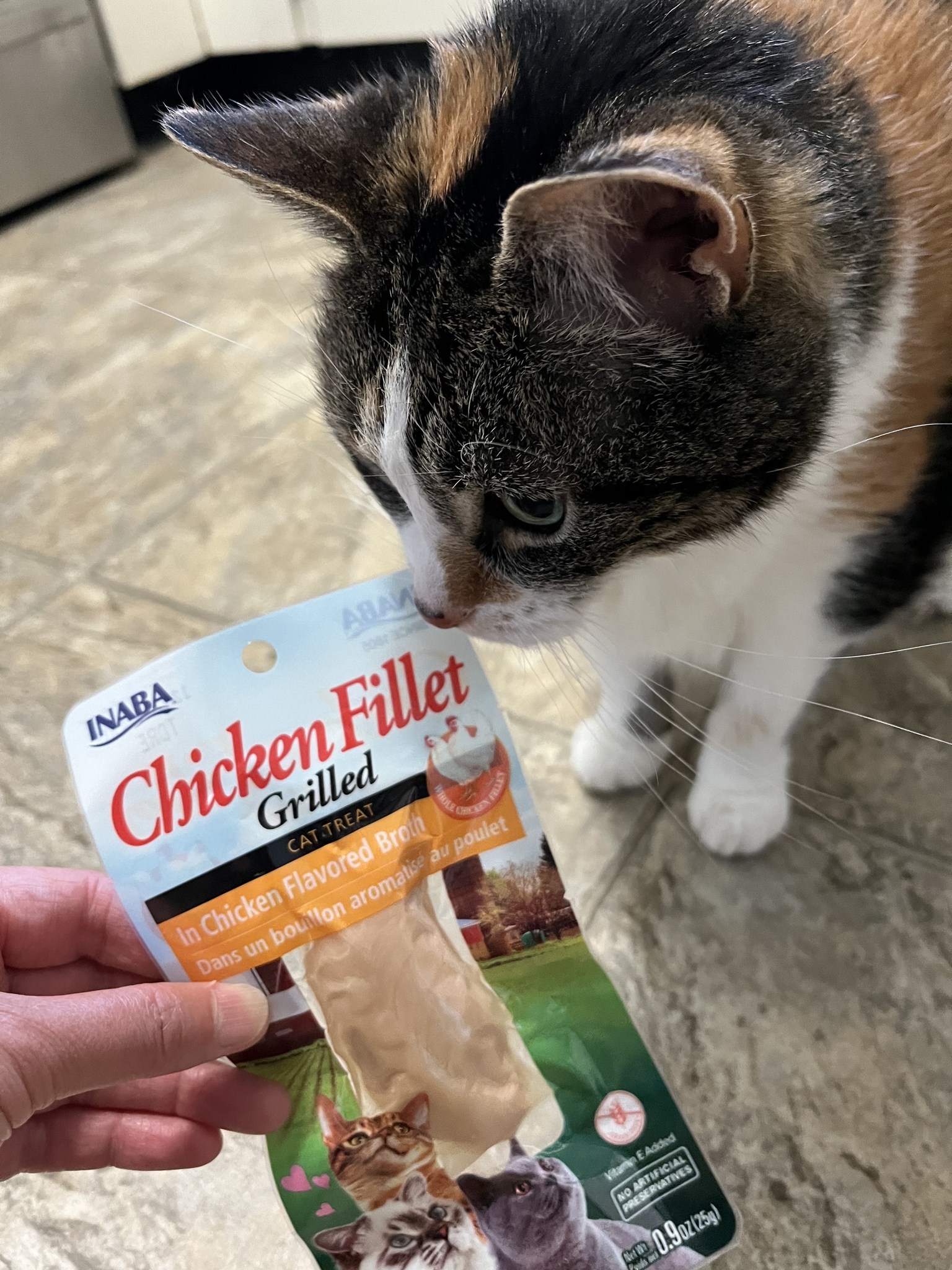 mokoさんのダイアリー：ベージニオ100mgを飲み始めて4日目。 | Peer Ring - なかまと話そう！女性特有のがん