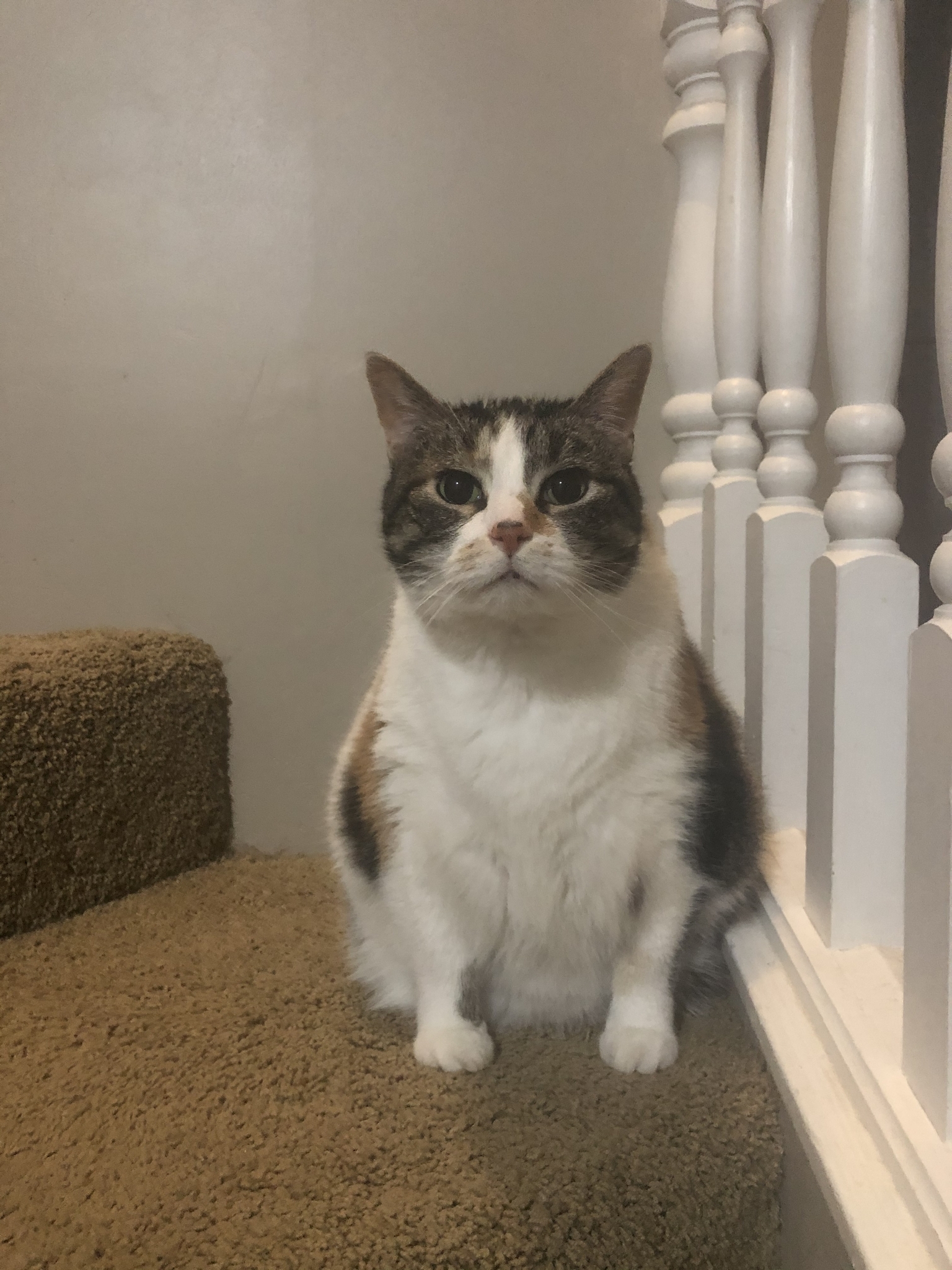 moko(Moko)さん | Peer Ring - なかまと話そう！女性特有のがん