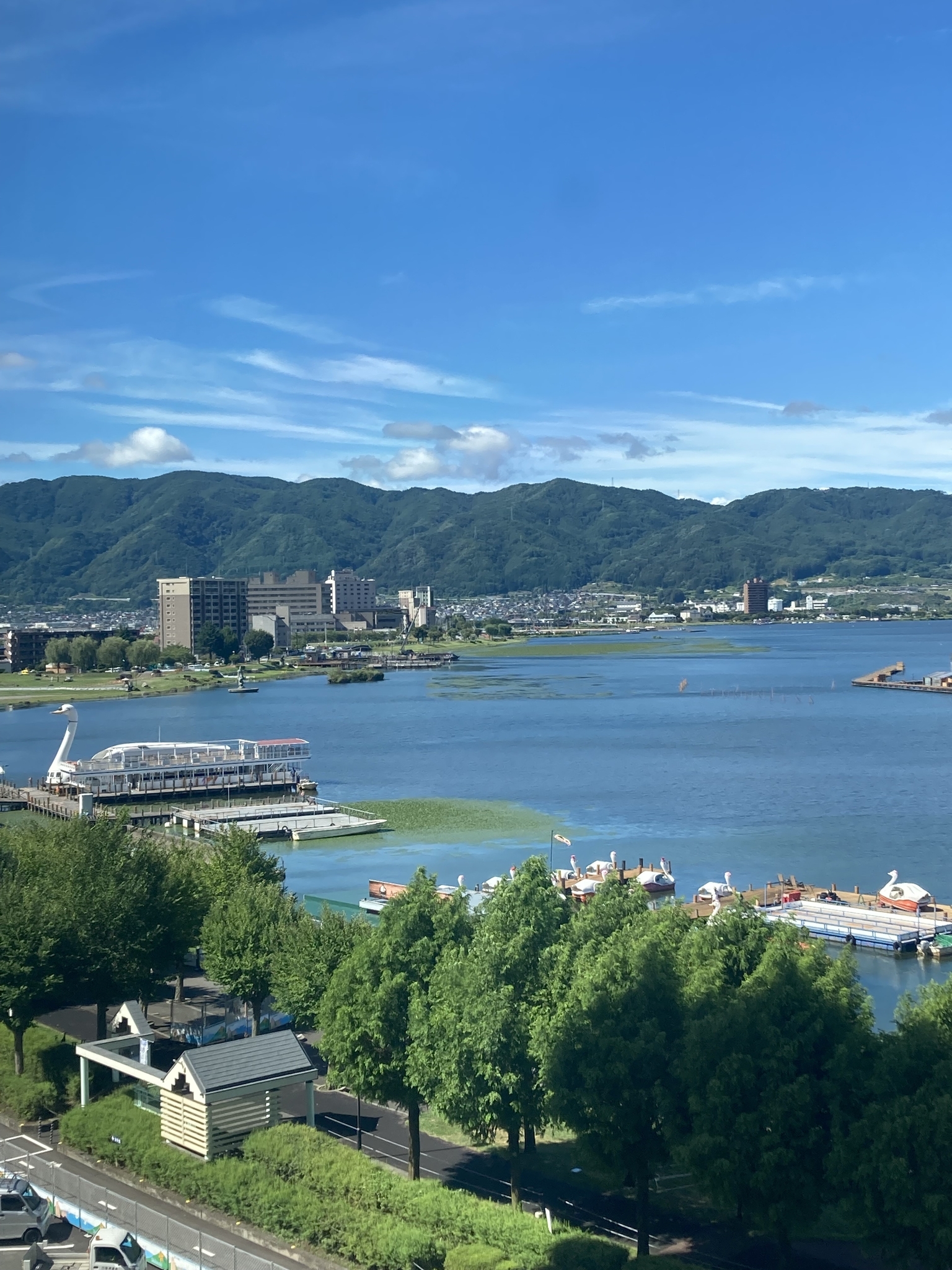 ぽこ(poco)さん | Peer Ring - なかまと話そう！女性特有のがん