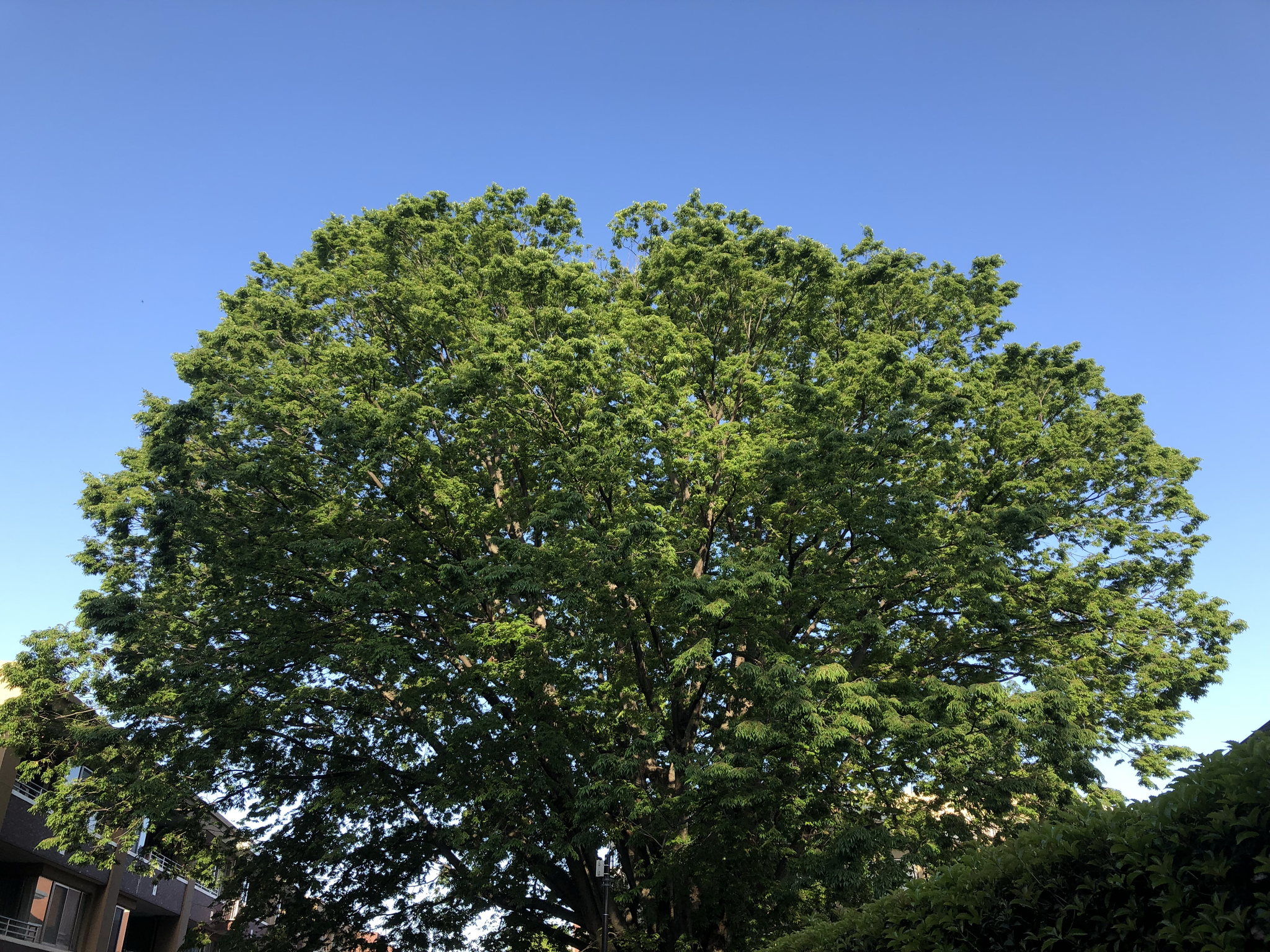 manakaoさんのダイアリー：#ガン以外 #プチオフ会 | Peer Ring - なかまと話そう！女性特有のがん