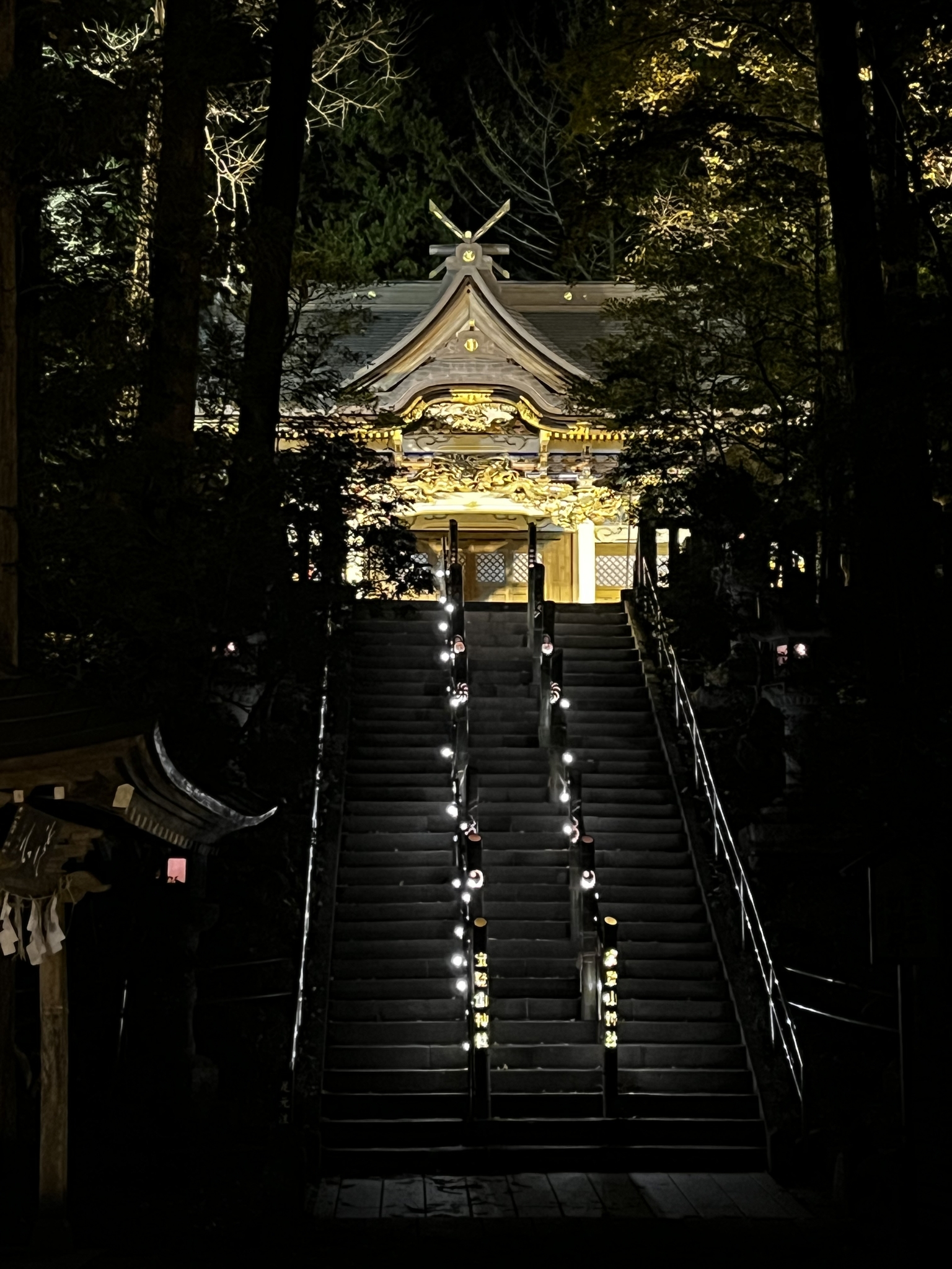 u-momo（うーもも）さんのダイアリー：#こま組 #神社仏閣クラブ #69年組 | Peer Ring - なかまと話そう！女性特有のがん