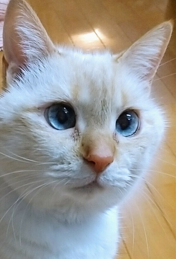 みるみるちゃん(mirumiruchan)さん | Peer Ring - なかまと話そう！女性特有のがん