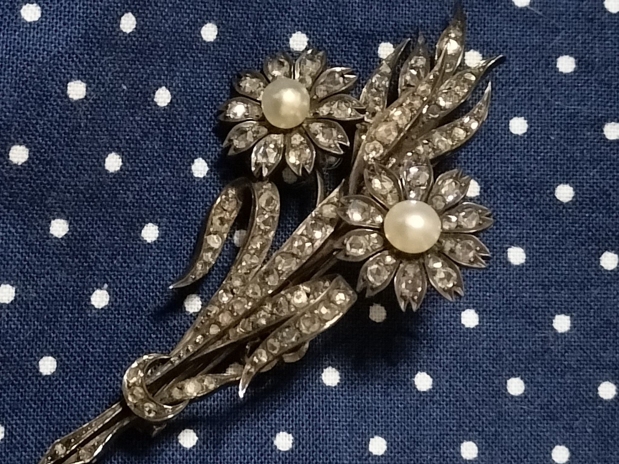 みけ(nyantii)さん | Peer Ring - なかまと話そう！女性特有のがん