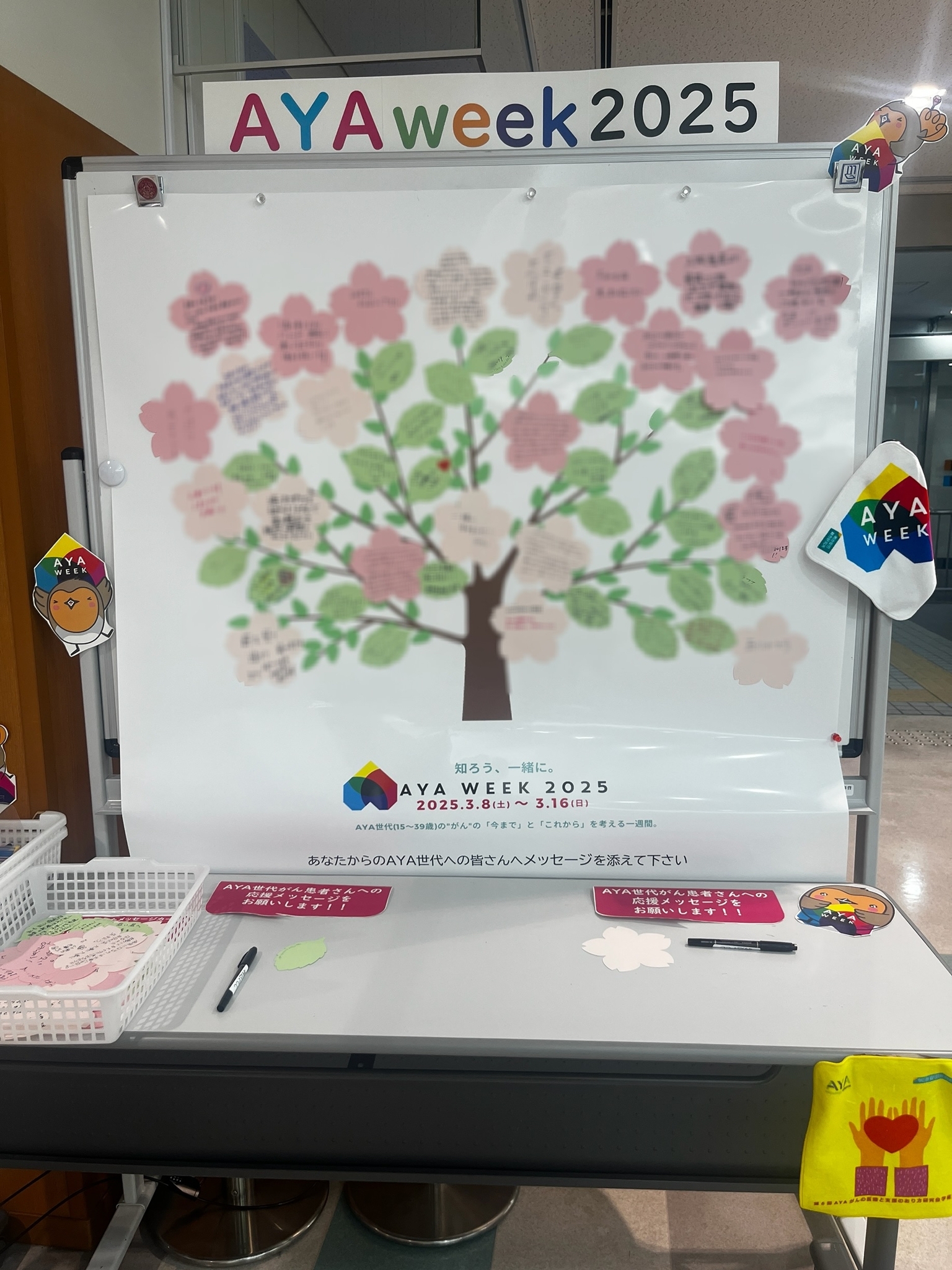 Mi-Yuさんのダイアリー：#AYA世代 #AYAWEEK #子宮頸がん | Peer Ring - なかまと話そう！女性特有のがん