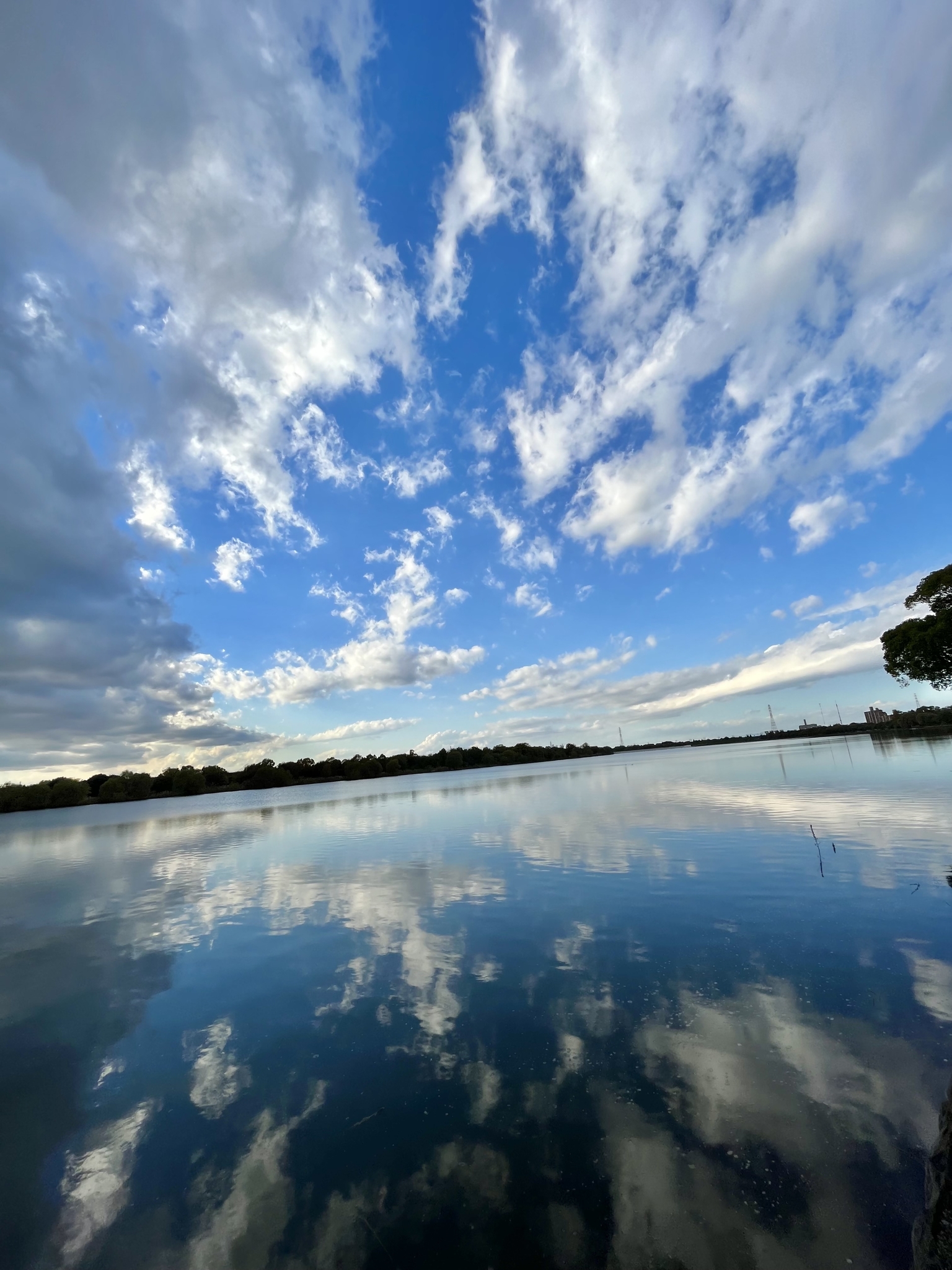 たっちゃん(ponchan07)さん | Peer Ring - なかまと話そう！女性特有のがん