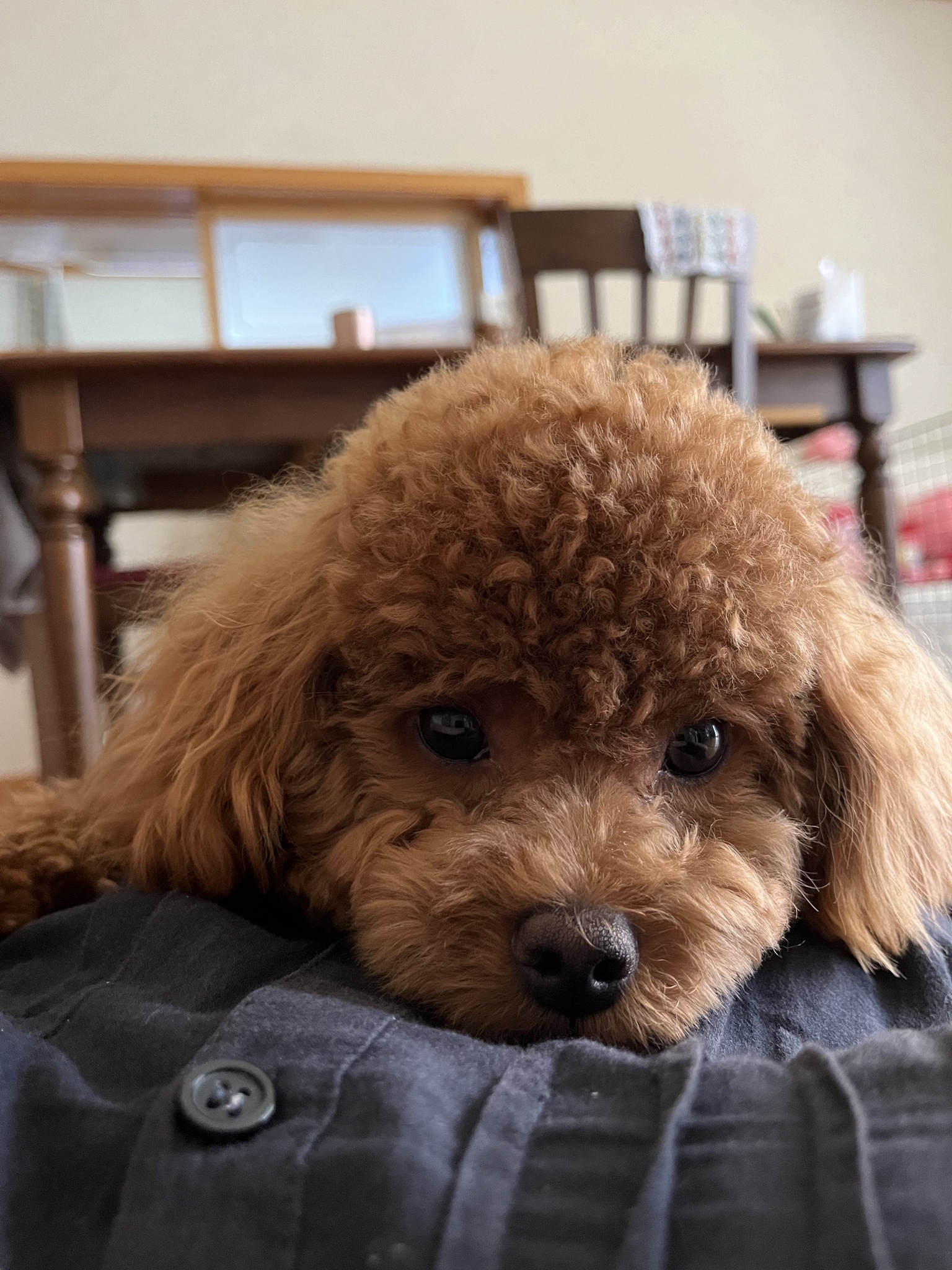 モッカ(urarrs)さん | Peer Ring - なかまと話そう！女性特有のがん