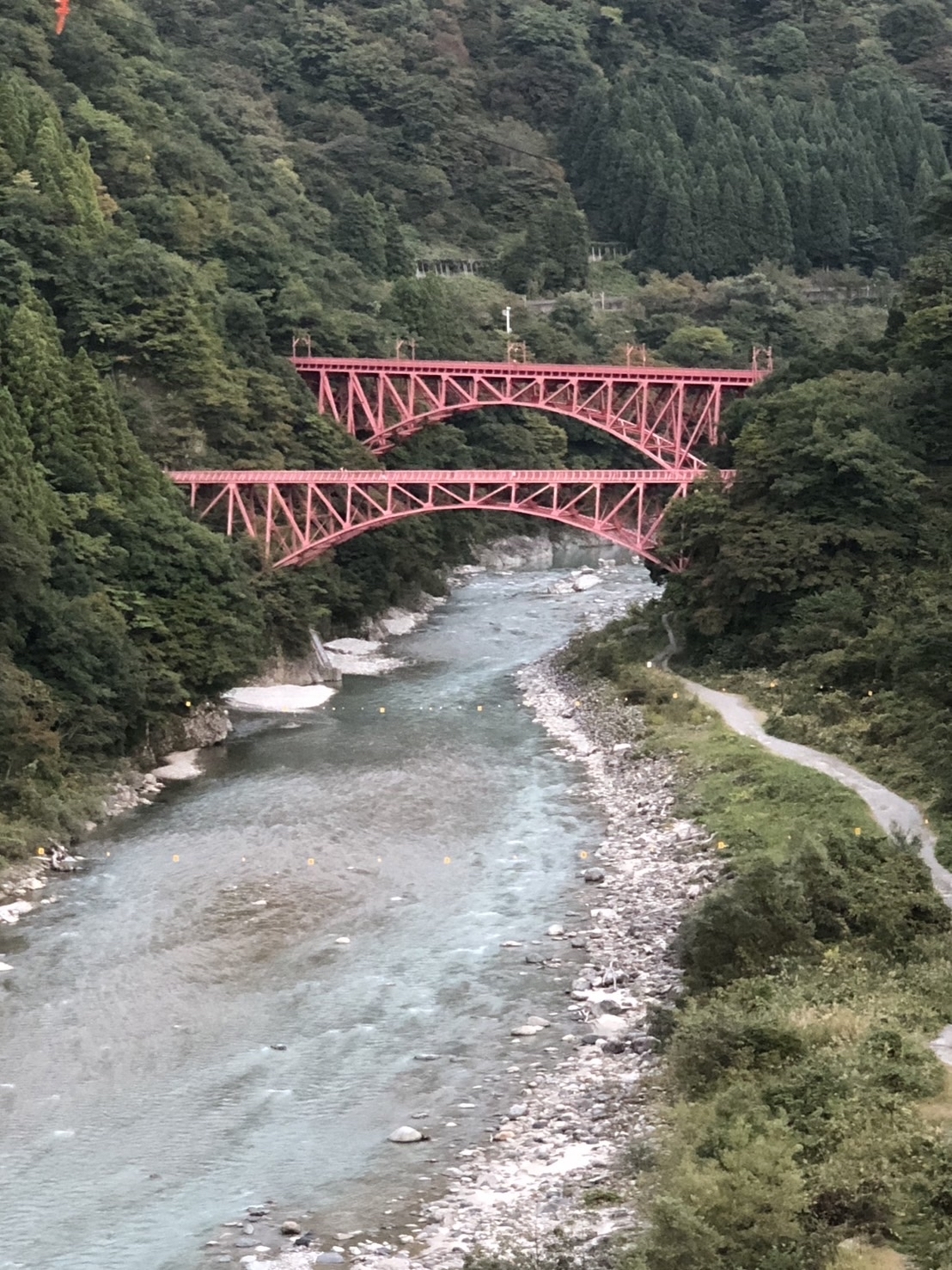 キャピ太郎(pitomama)さん | Peer Ring - なかまと話そう！女性特有のがん