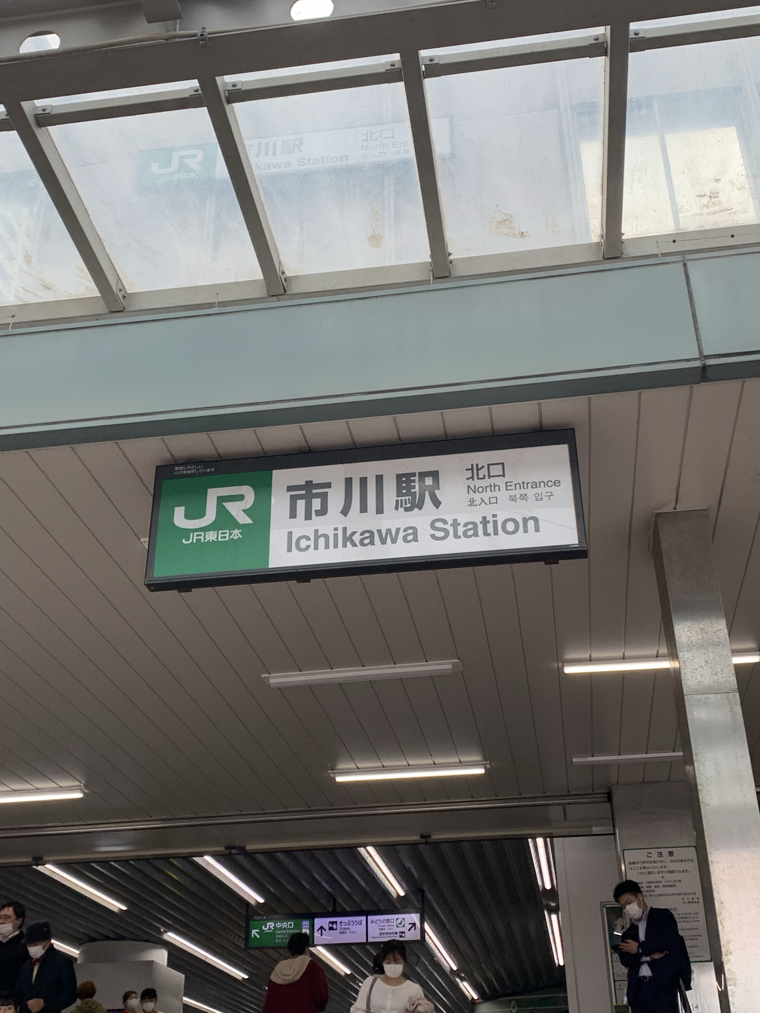 とこ(🪗☆横)さんのダイアリー：[追記あり] めっちゃ久しぶりの投稿です | Peer Ring - なかまと話そう！女性特有のがん