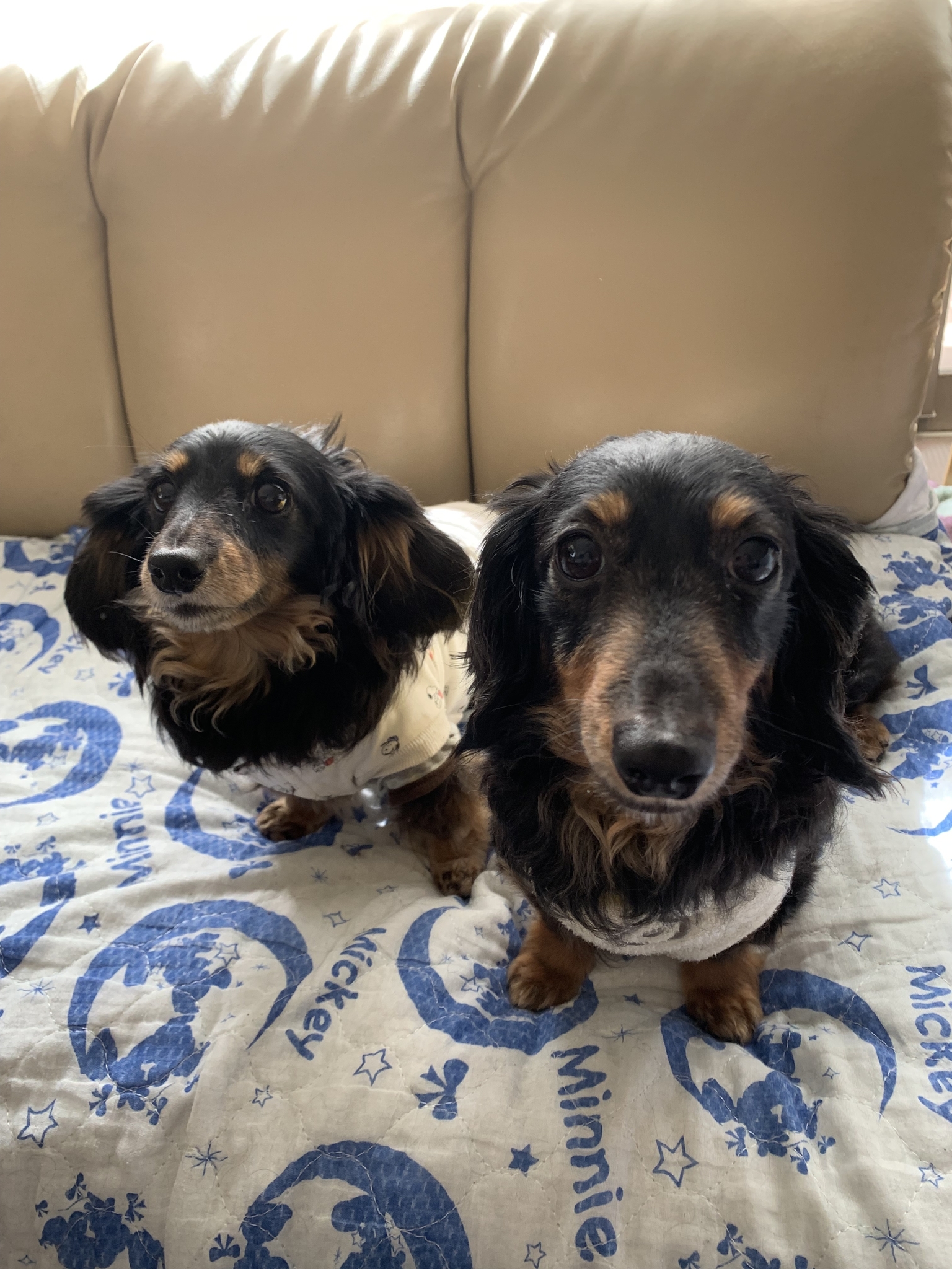 とこ(🪗☆横)(toko)さん | Peer Ring - なかまと話そう！女性特有のがん