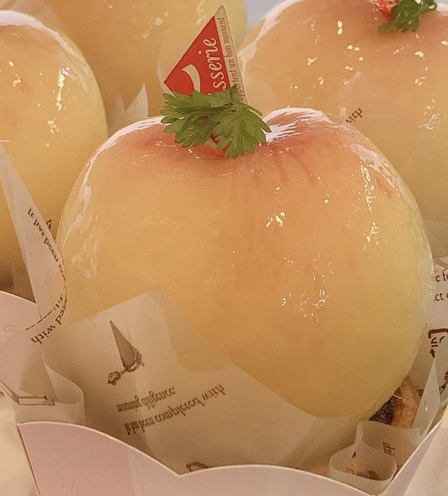 とこ(🪗☆横)(toko)さん | Peer Ring - なかまと話そう！女性特有のがん