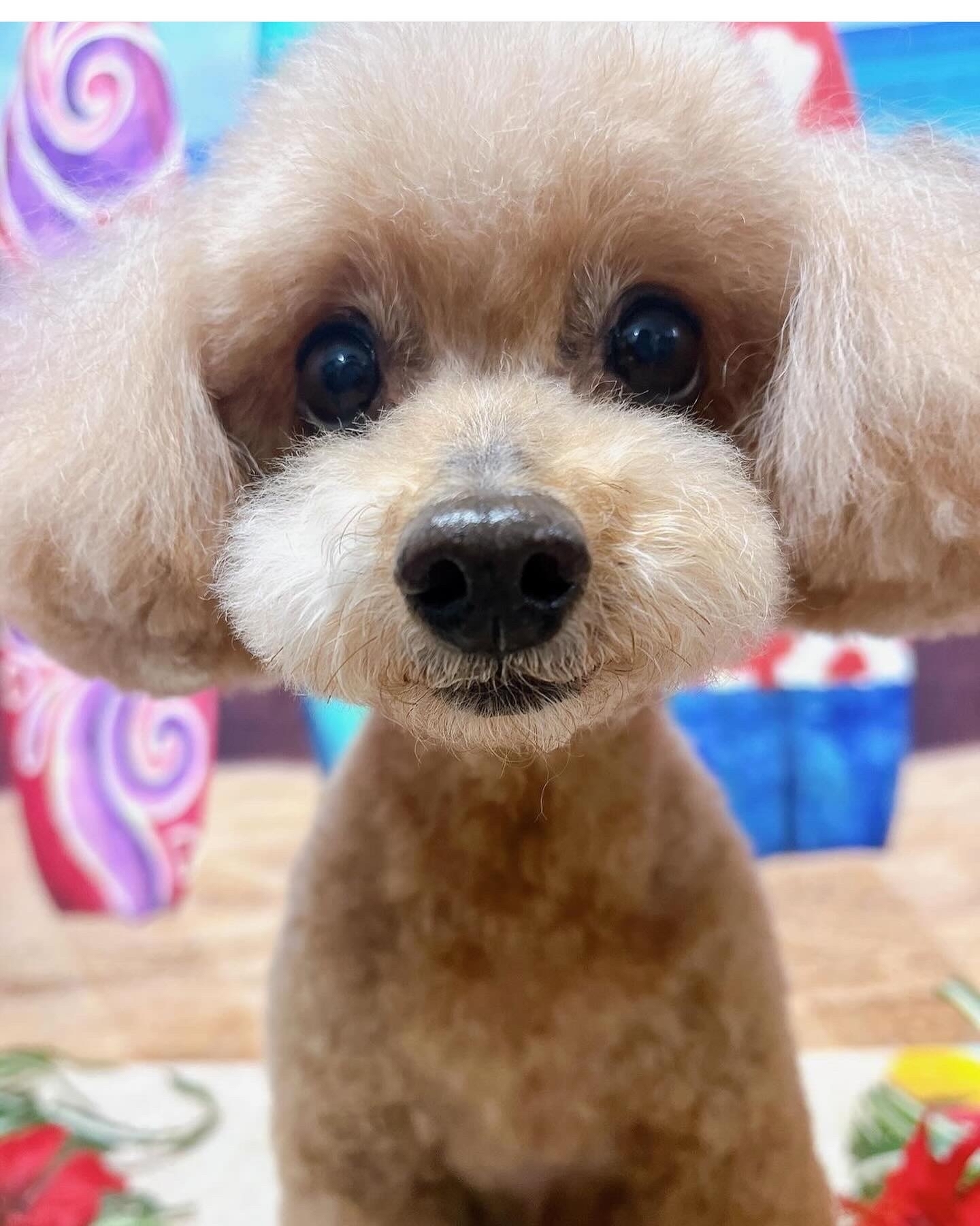 マキ(sunsetseason)さん | Peer Ring - なかまと話そう！女性特有のがん