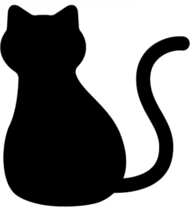 けっとしー(Hochuekki10)さん | Peer Ring - なかまと話そう！女性特有のがん