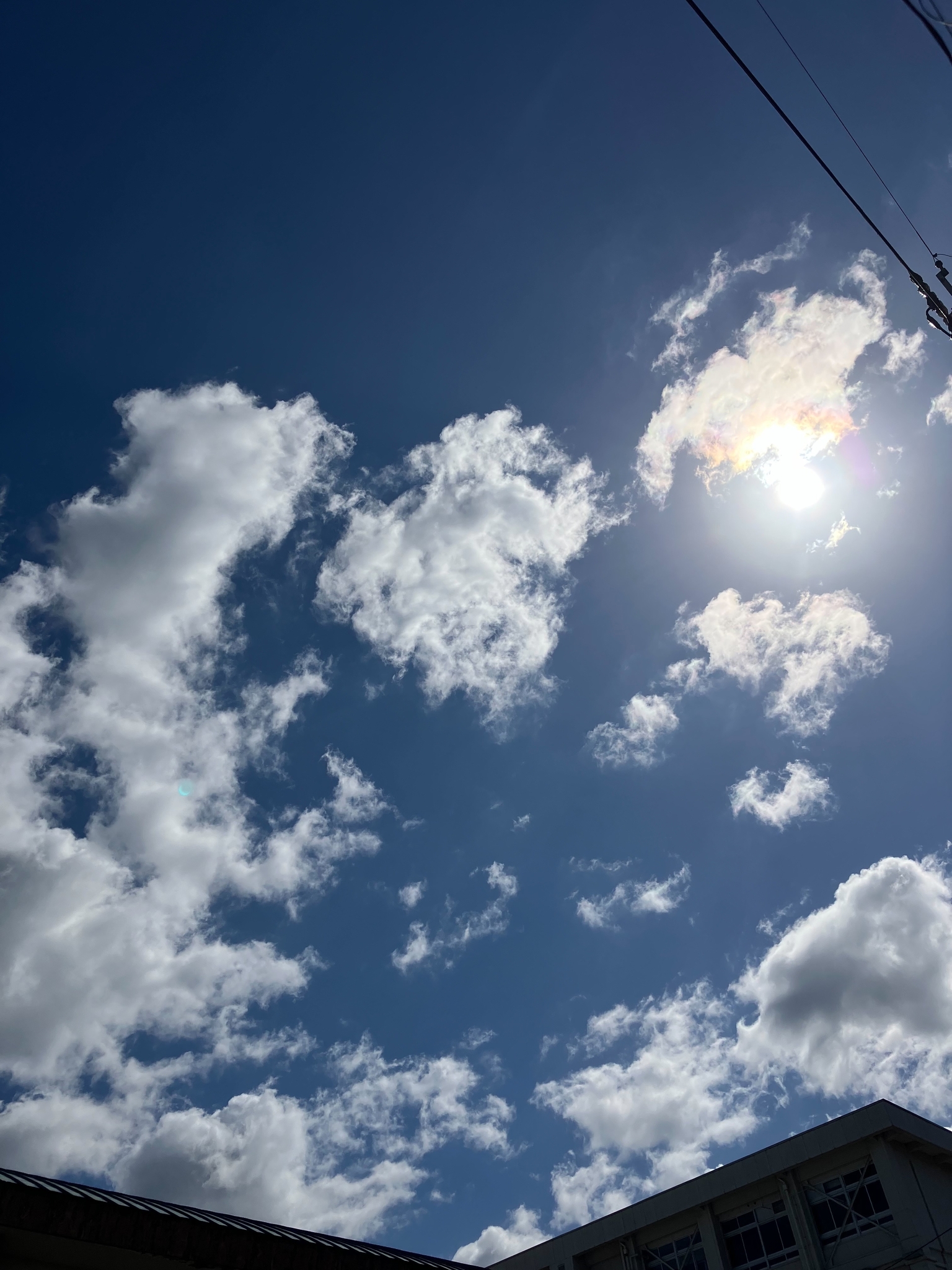 なつ(Naa416)さん | Peer Ring - なかまと話そう！女性特有のがん