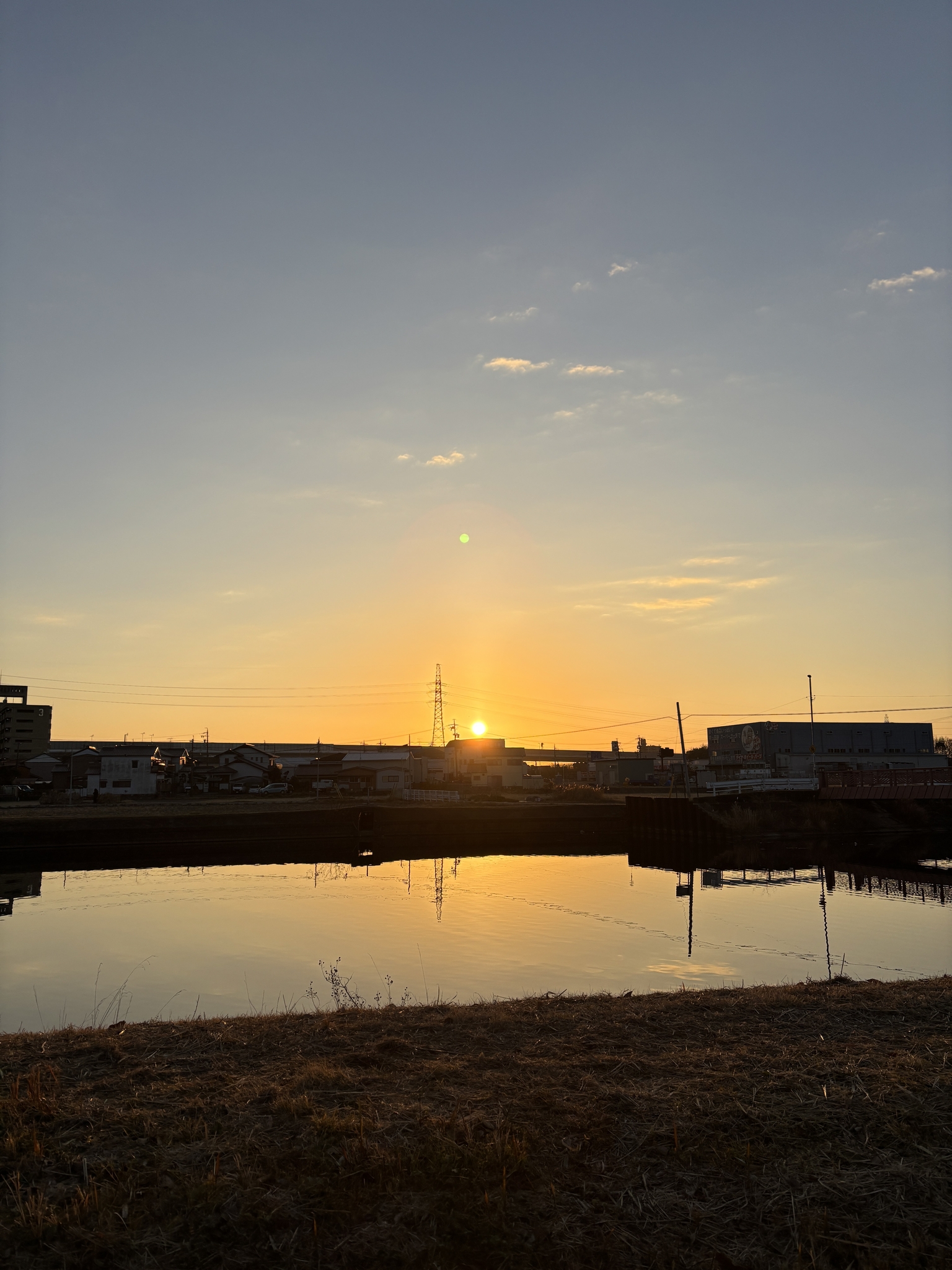 なおみさんのダイアリー：明けましておめでとうございます。 | Peer Ring - なかまと話そう！女性特有のがん