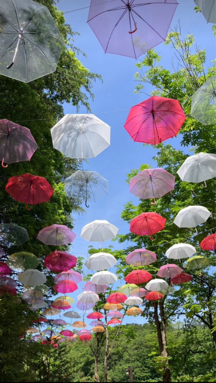 ゆみぼん(yumibon0513)さん | Peer Ring - なかまと話そう！女性特有のがん