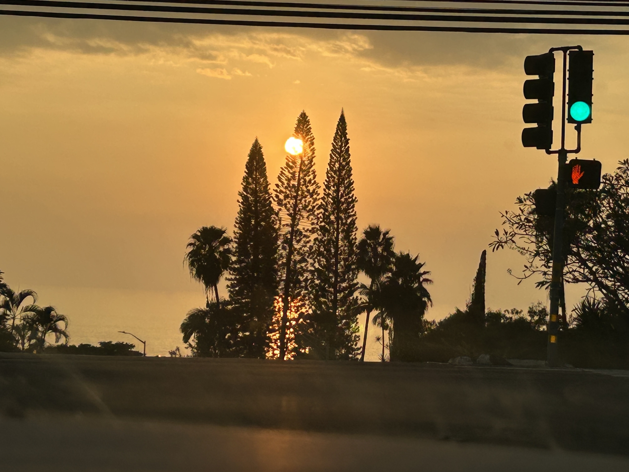 めろ吉(paopao23)さん | Peer Ring - なかまと話そう！女性特有のがん