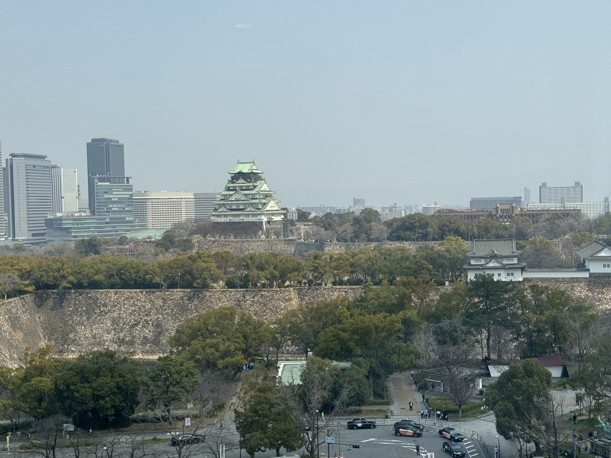 chirorinさんのダイアリー：桜みえねー。 期待してたのにー。 | Peer Ring - なかまと話そう！女性特有のがん
