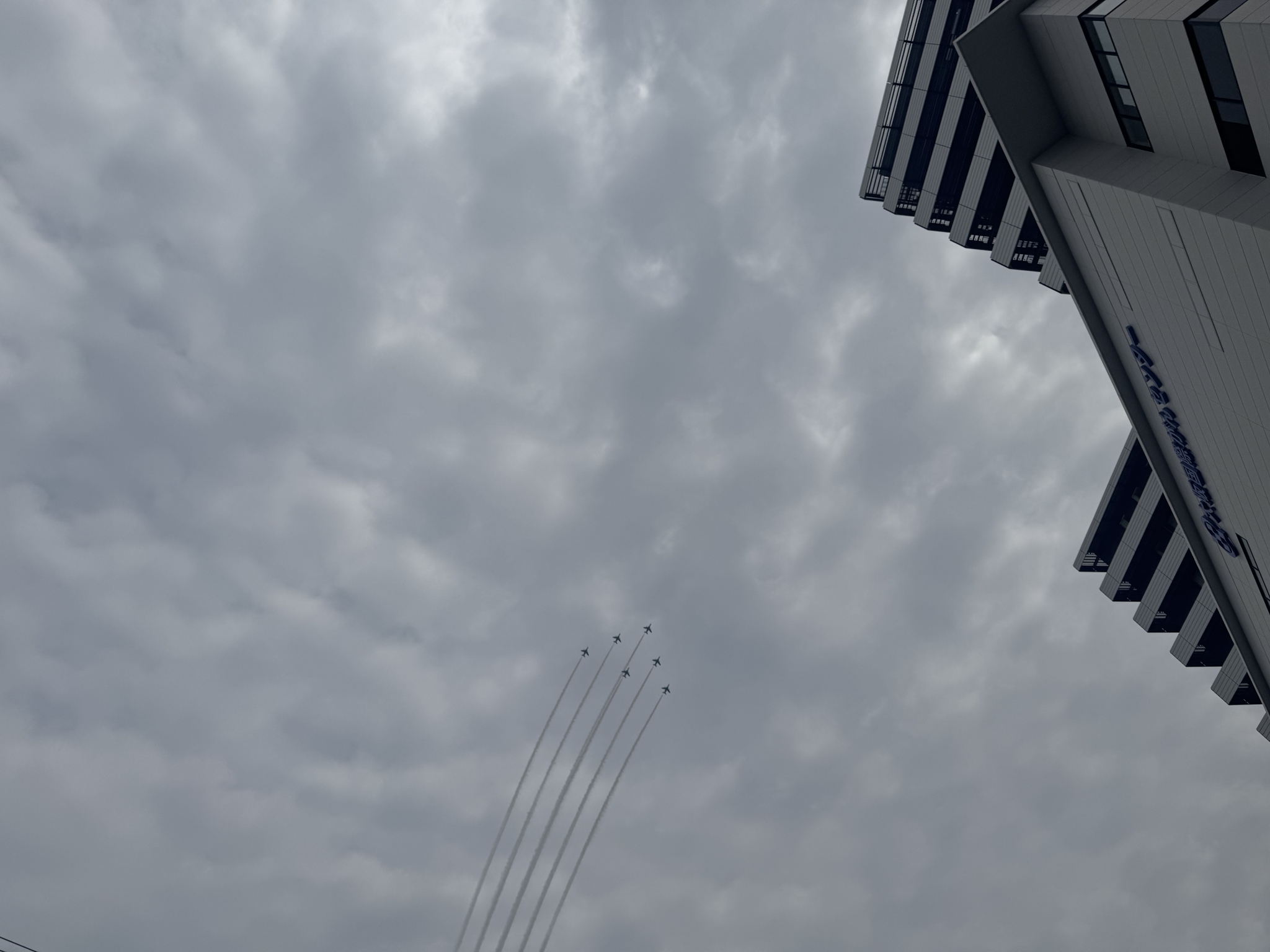 chirorinさんのダイアリー：おすそわけ。 ブルーインパルスみれましたー！ | Peer Ring - なかまと話そう！女性特有のがん