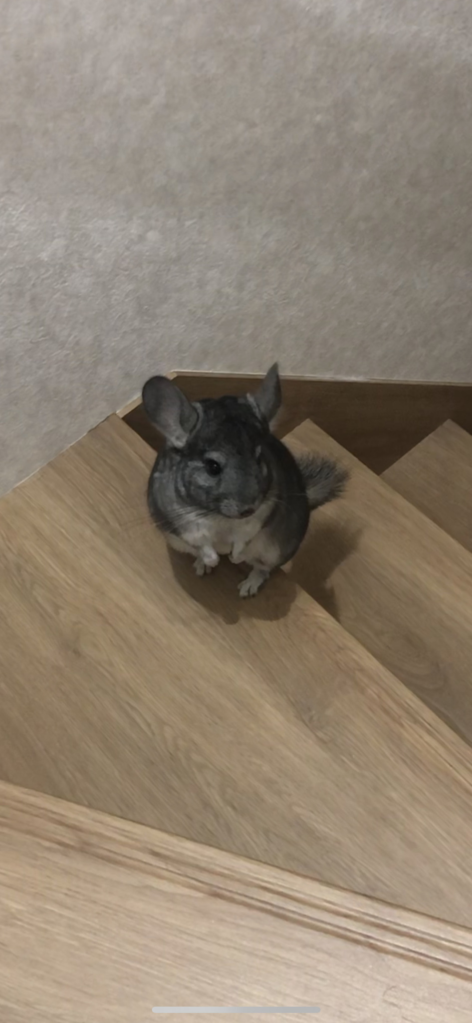 chirorinさんのダイアリー：やっと。。。 やっと。。。 | Peer Ring - なかまと話そう！女性特有のがん