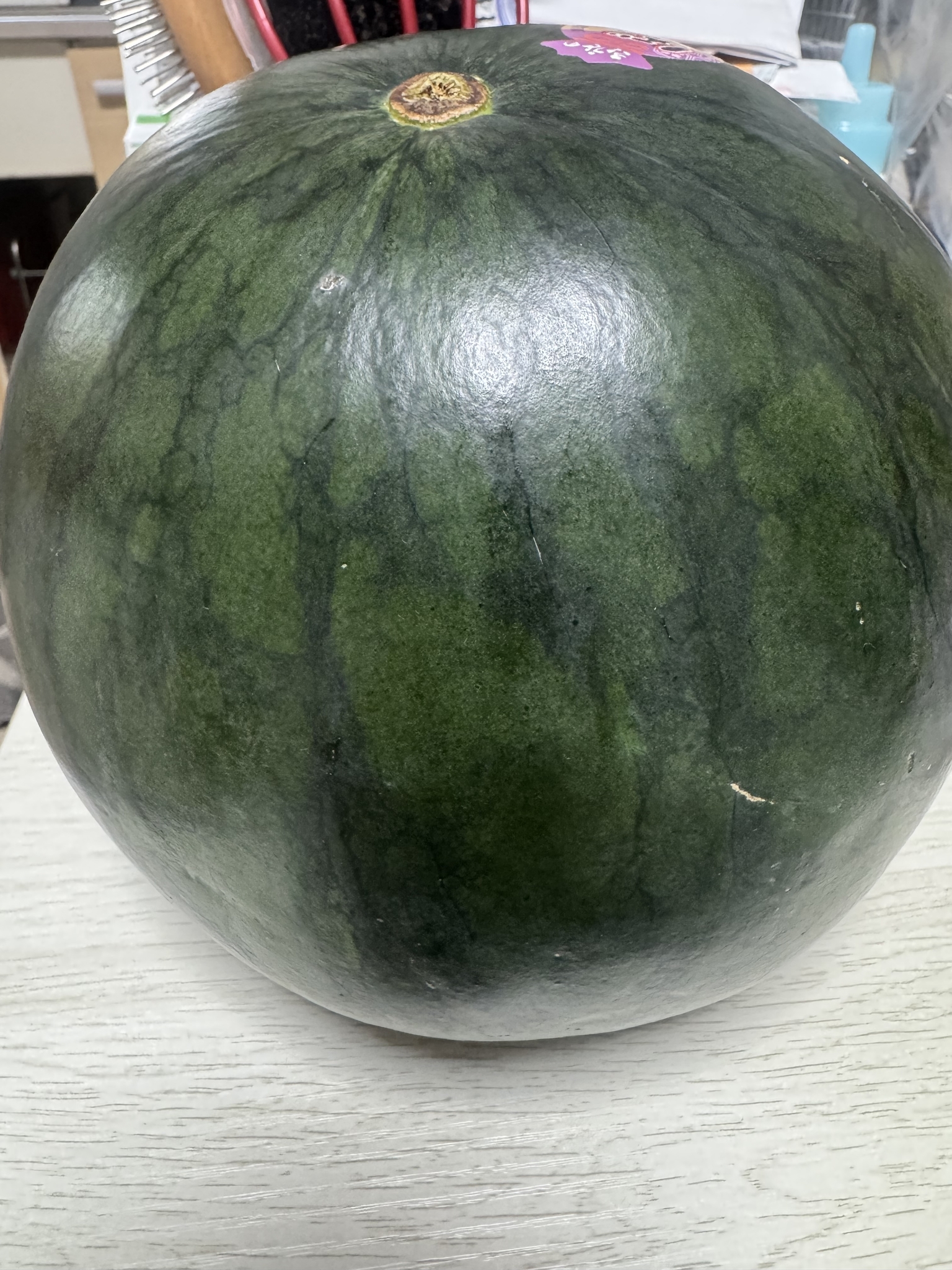 chirorinさんのダイアリー：今年の夏はよくスイカを食べてます！ | Peer Ring - なかまと話そう！女性特有のがん