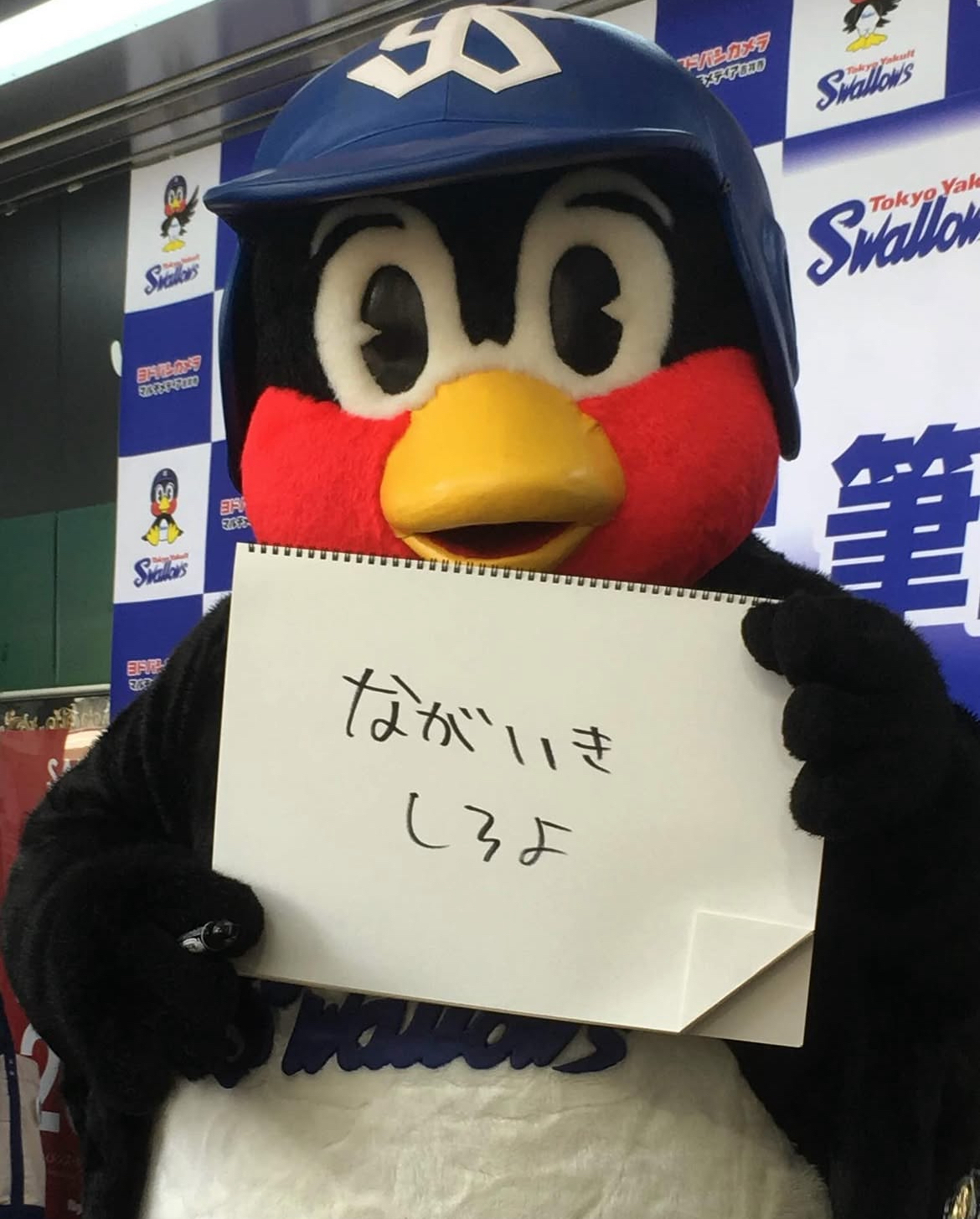 エヌコ(n_co)さん | Peer Ring - なかまと話そう！女性特有のがん