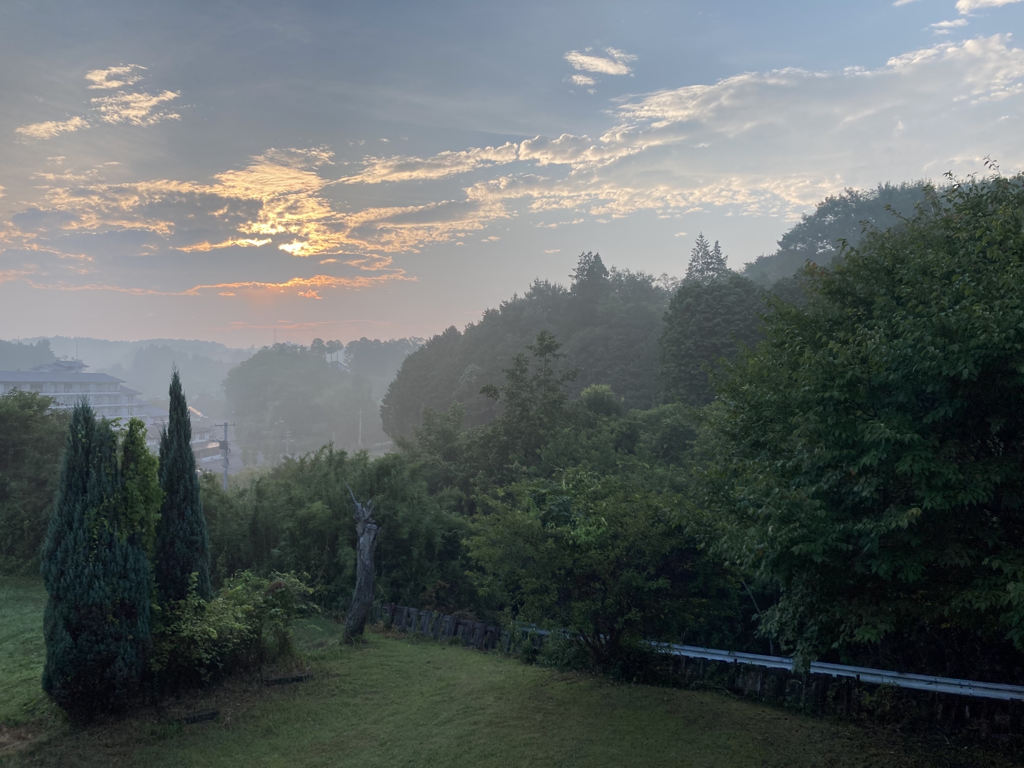 ぼんさんのダイアリー：週末にフェスゴ、そろそろ放射線も始まるというところで自分を | Peer Ring - なかまと話そう！女性特有のがん